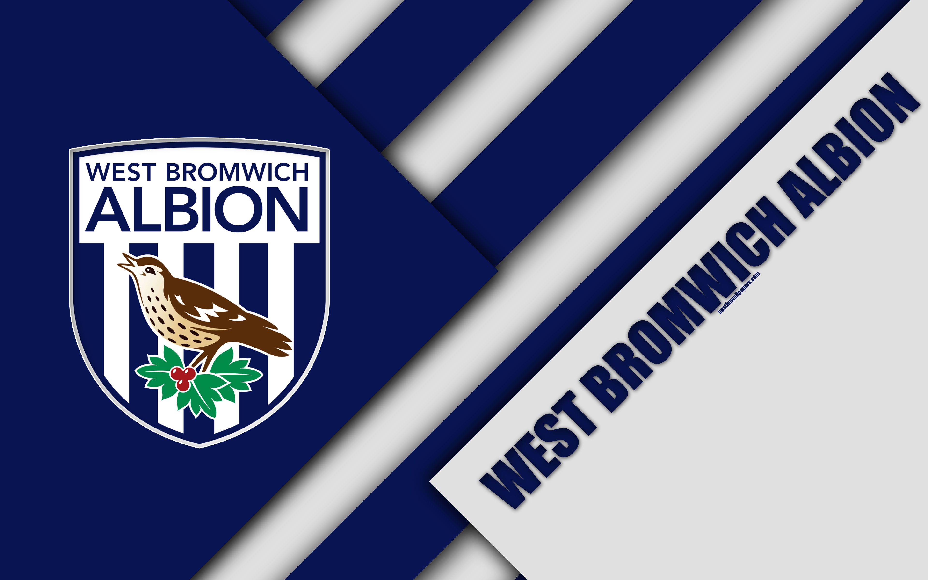 West Bromwich Albion Wallpapers - Top Free West Bromwich Albion ...