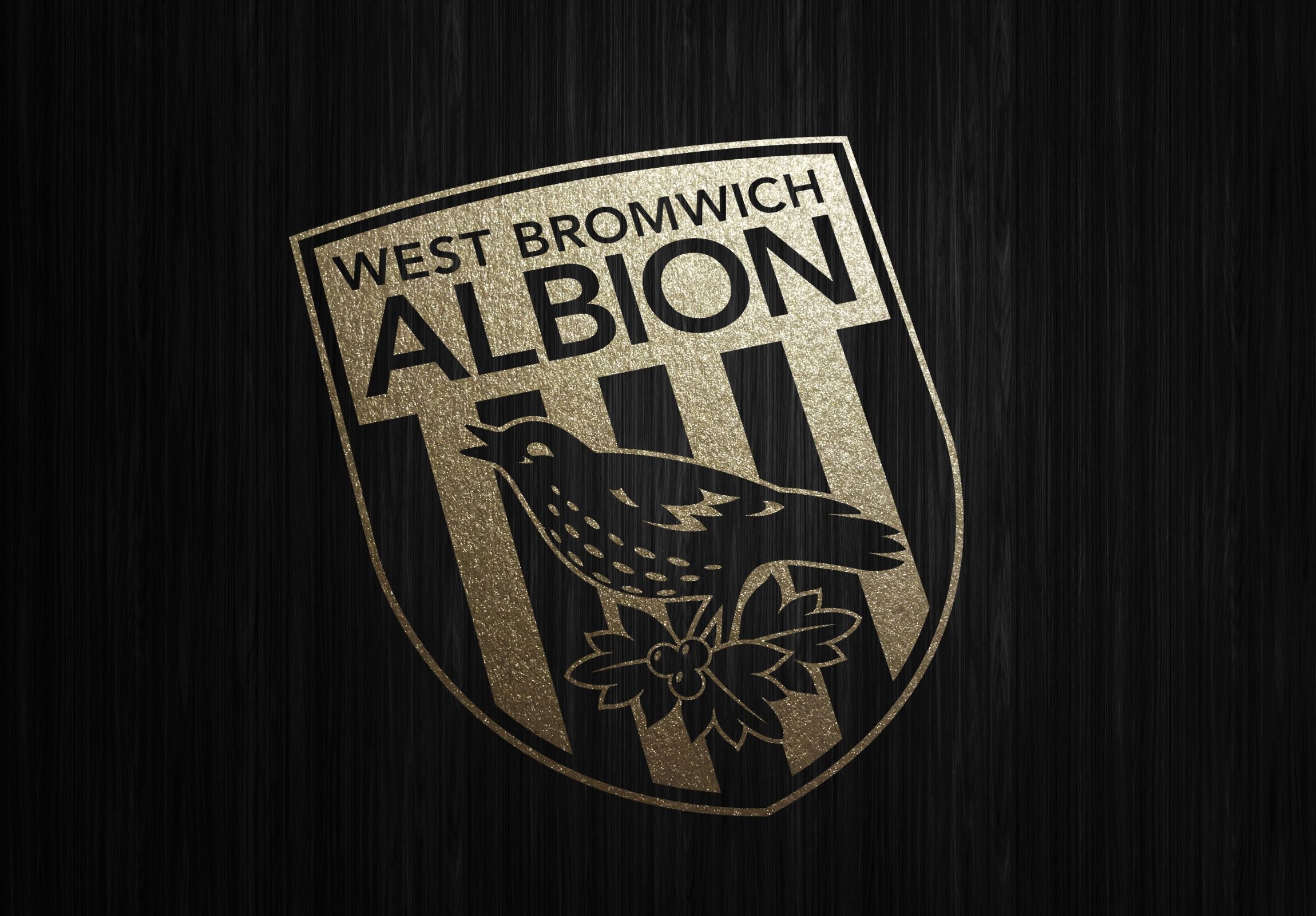 West Bromwich Albion Wallpapers - Top Free West Bromwich Albion ...