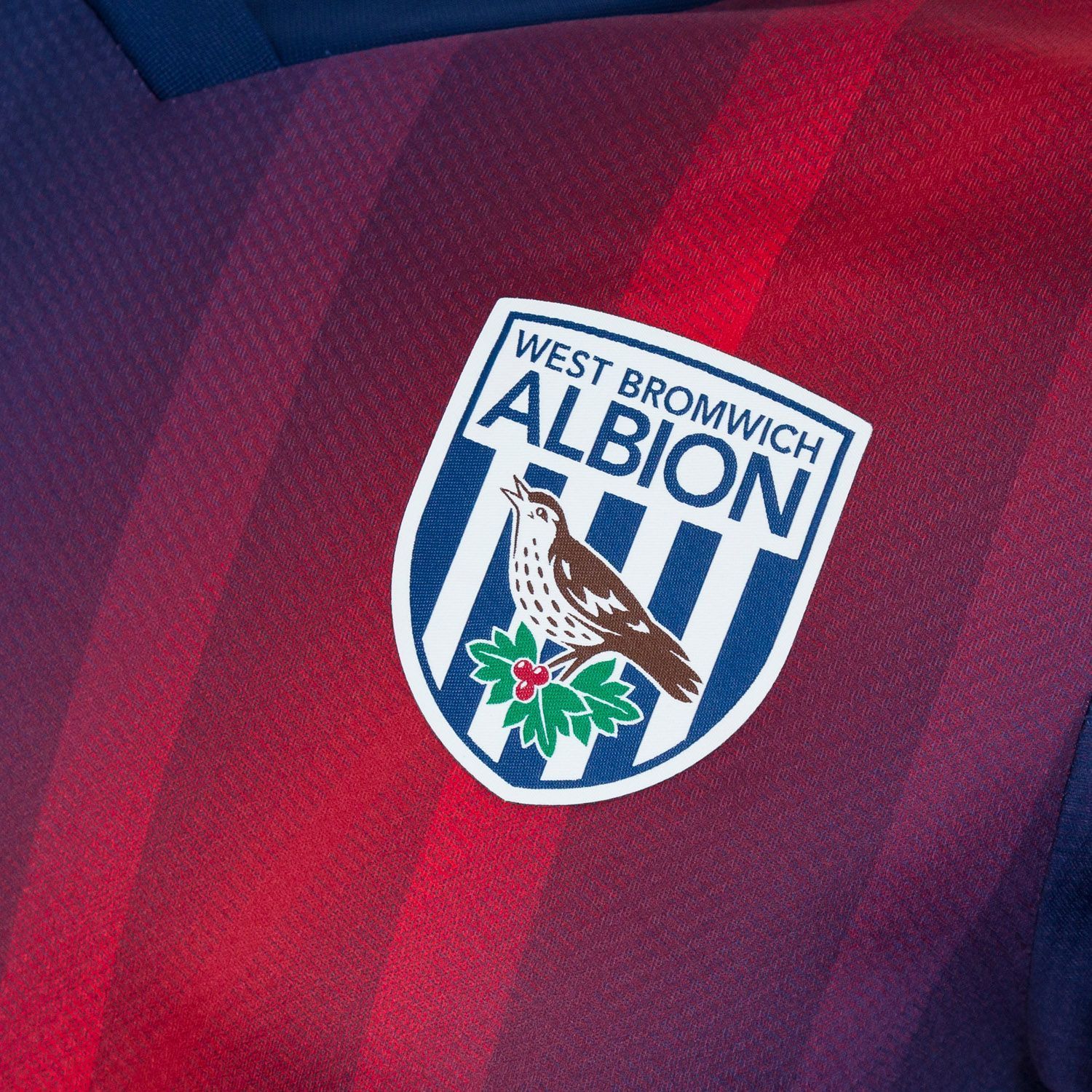 West Bromwich Albion Wallpapers - Top Free West Bromwich Albion ...