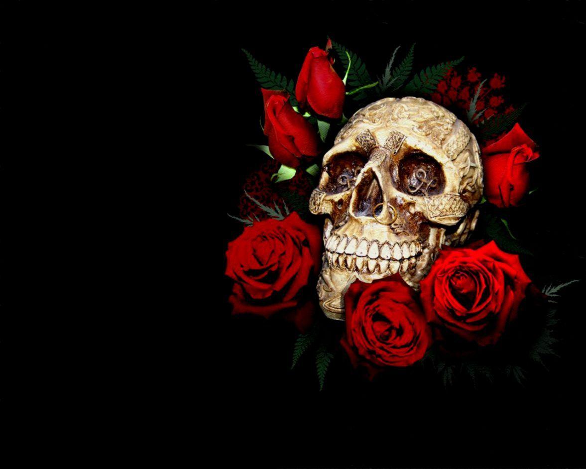 Red Skull Wallpapers - Top Free Red Skull Backgrounds - WallpaperAccess