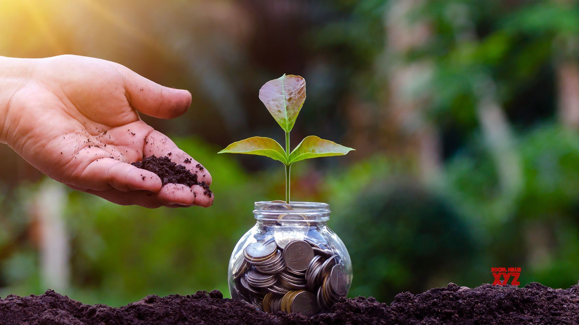 Mutual Fund Wallpapers - Top Free Mutual Fund Backgrounds - WallpaperAccess