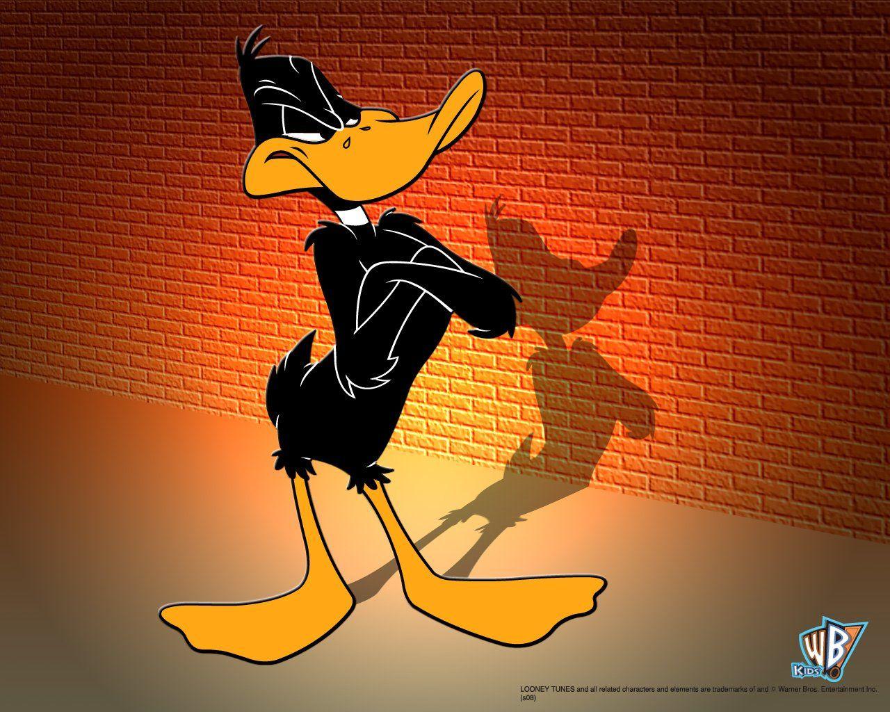 Daffy Duck Wallpapers - Top Free Daffy Duck Backgrounds - WallpaperAccess