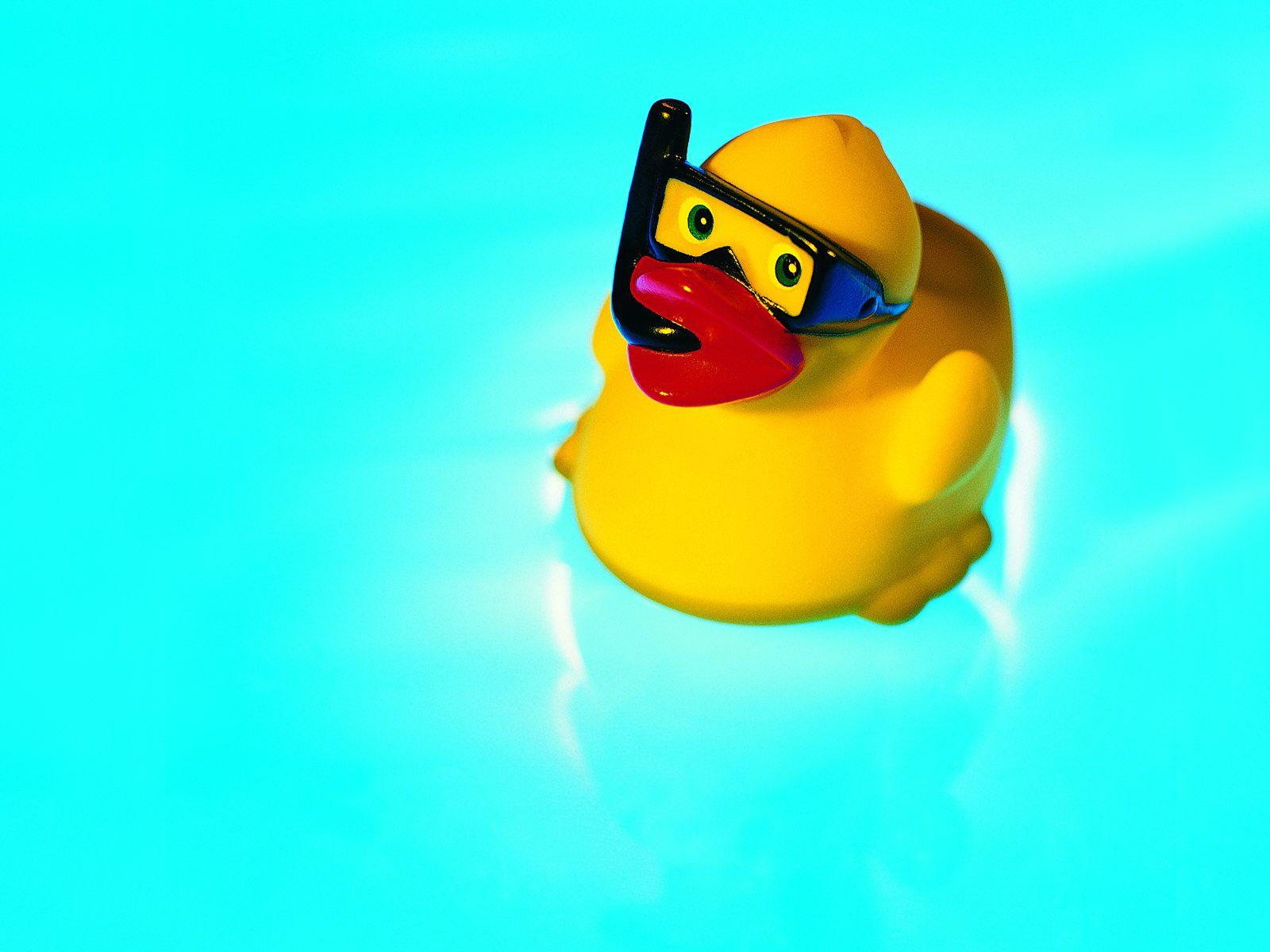 Rubber Duck Wallpapers - Top Free Rubber Duck Backgrounds - WallpaperAccess