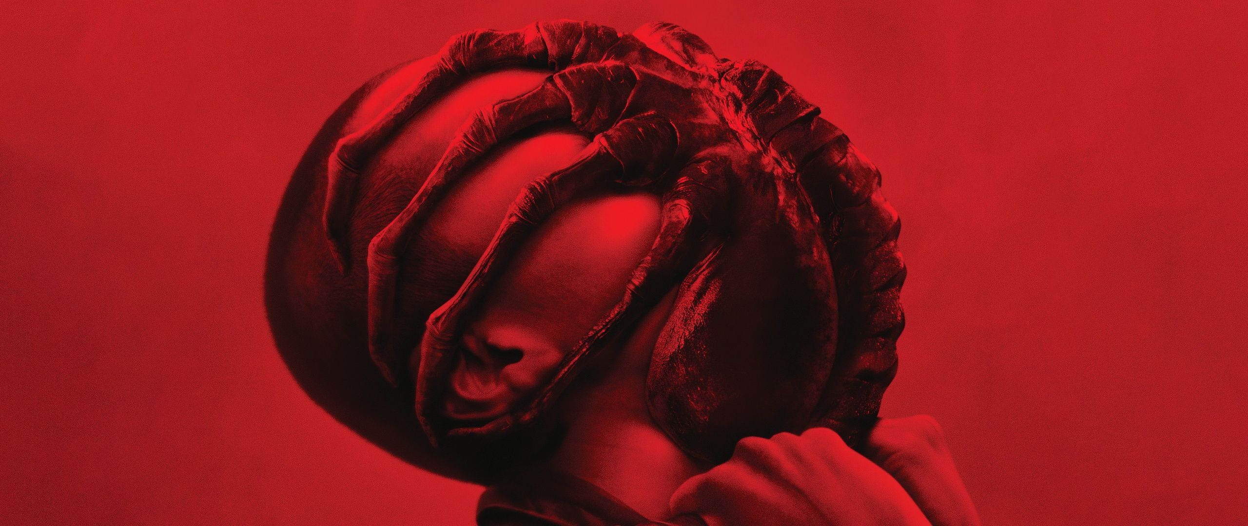 Romulus Wallpapers - Top Free Romulus Backgrounds - WallpaperAccess