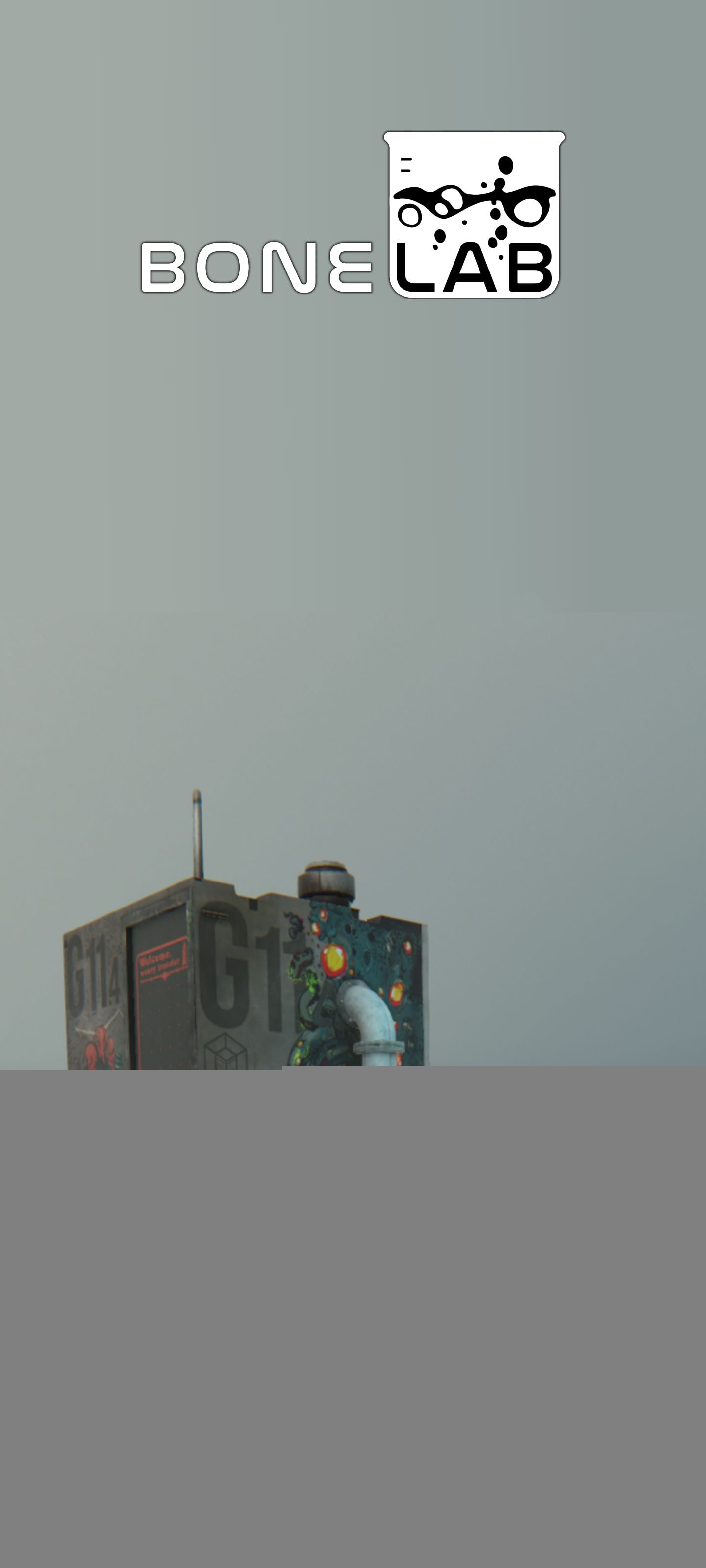 Bonelab Wallpapers - Top Free Bonelab Backgrounds - WallpaperAccess