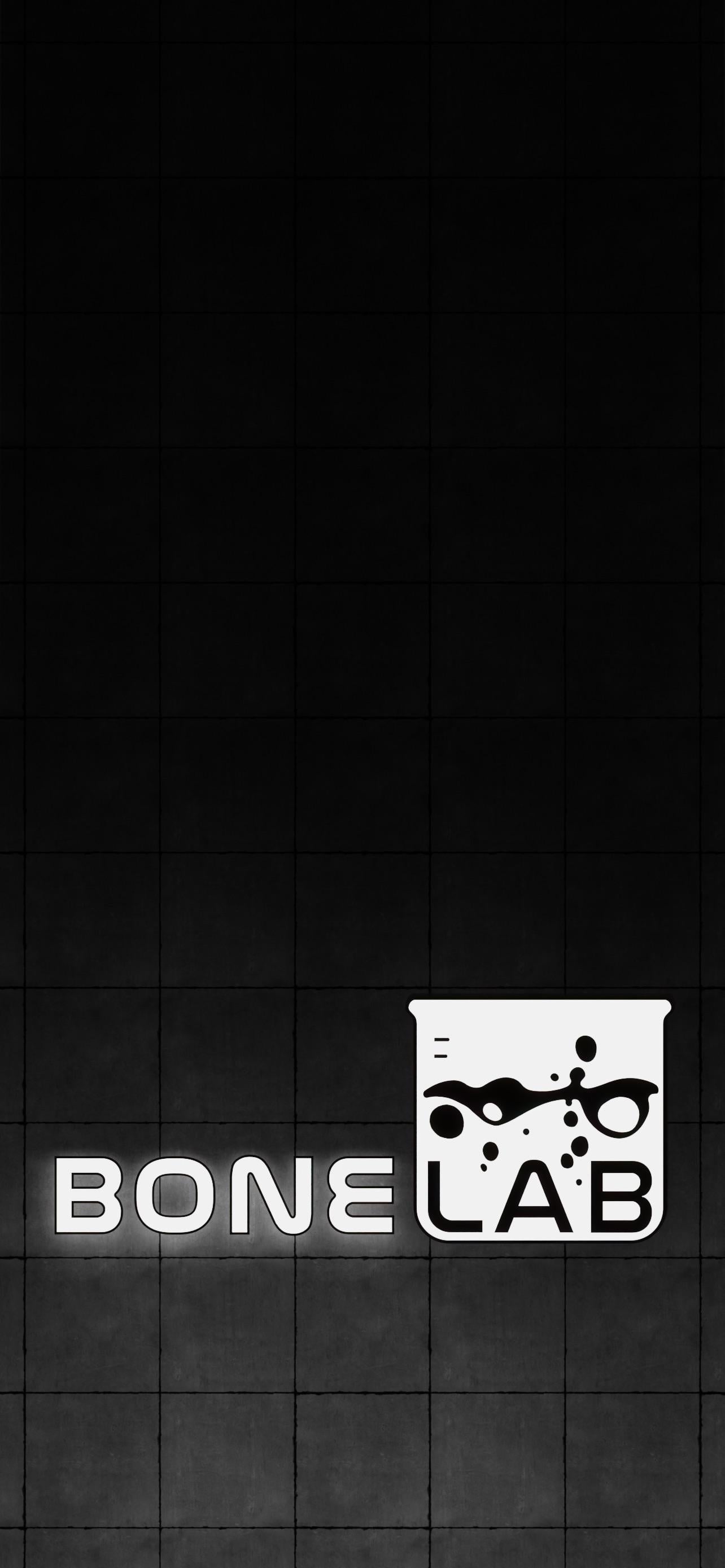 Bonelab Wallpapers - Top Free Bonelab Backgrounds - WallpaperAccess