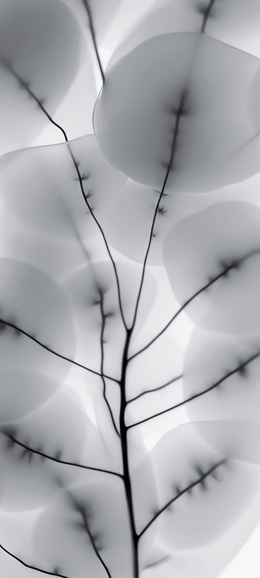 Nothingness Wallpapers - Top Free Nothingness Backgrounds - WallpaperAccess