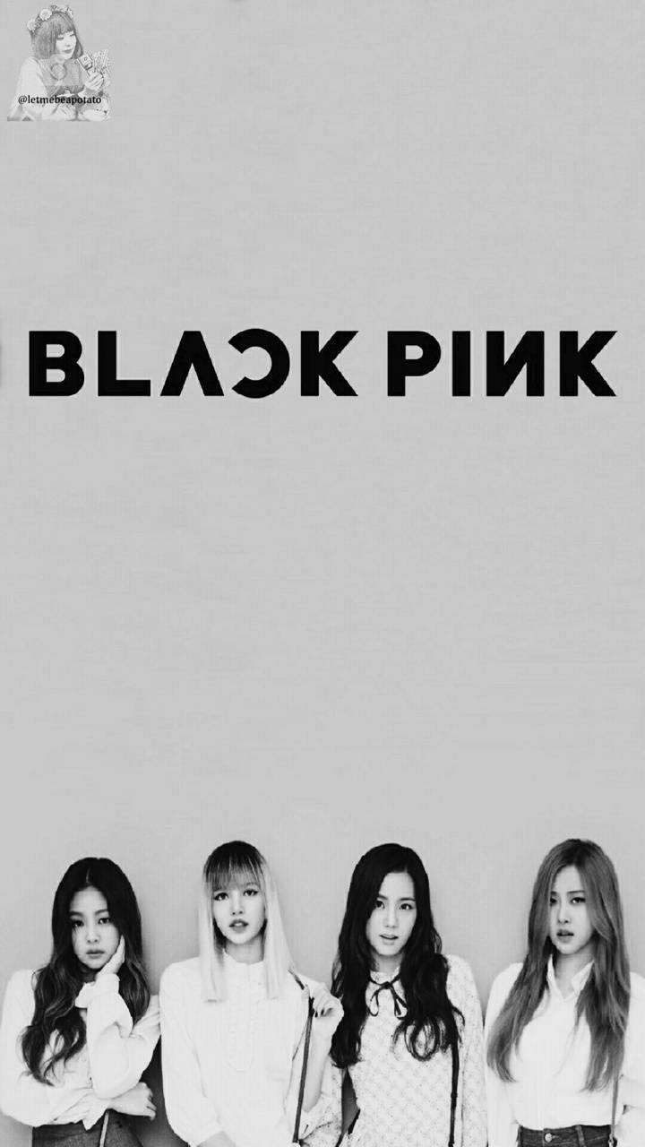 Blackpink iPhone Wallpapers - Top Free Blackpink iPhone Backgrounds ...
