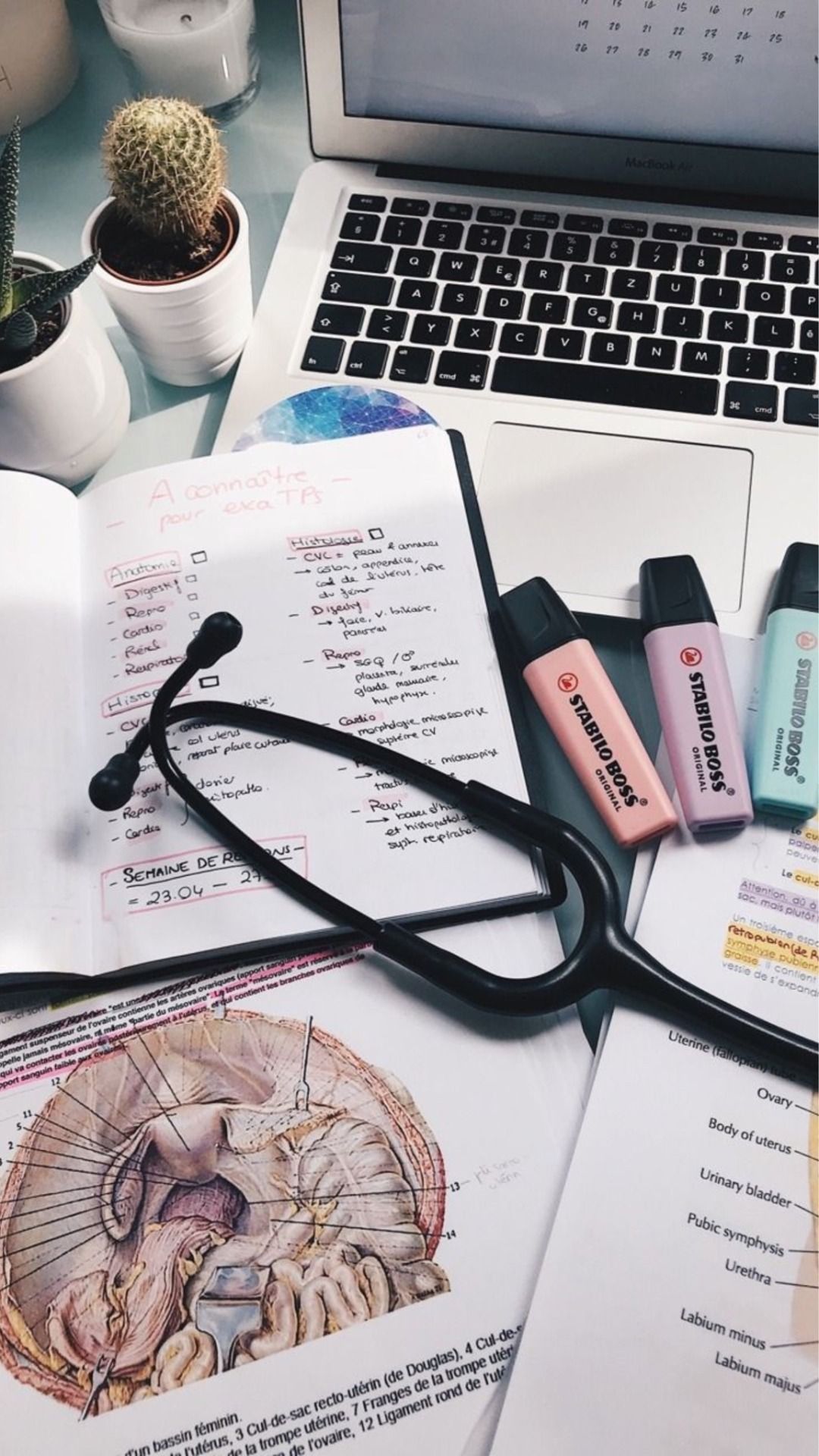 Medicine Student Wallpapers - Top Free Medicine Student Backgrounds ...