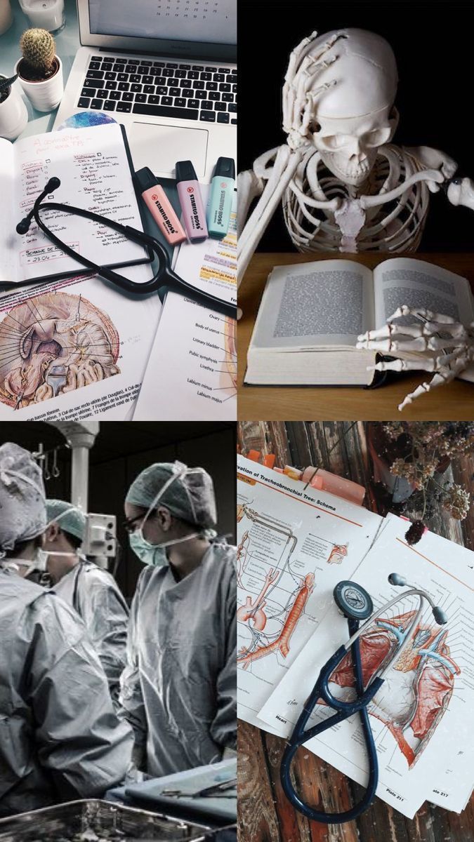 Medicine Student Wallpapers - Top Free Medicine Student Backgrounds - WallpaperAccess