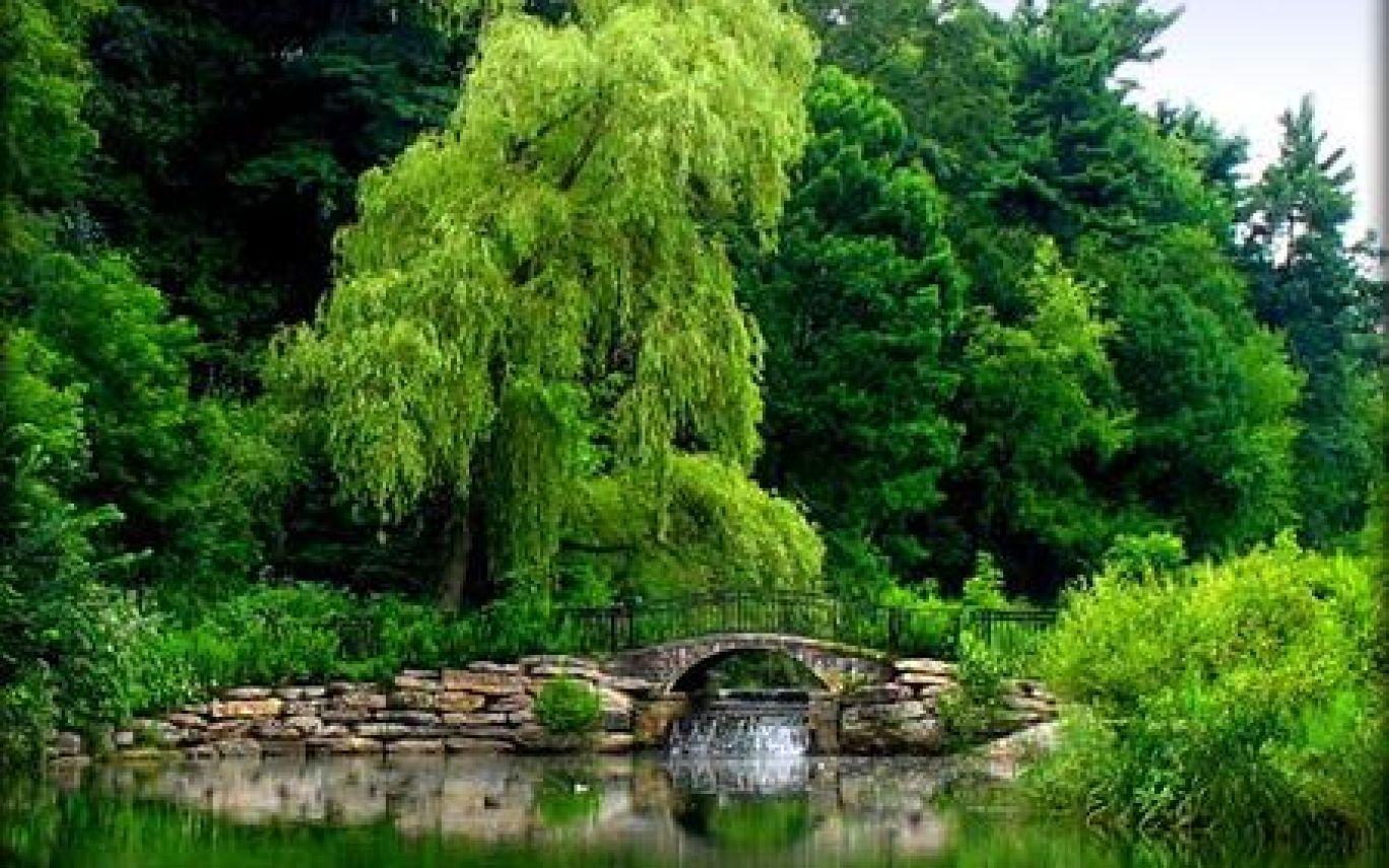 4K Zen Wallpapers - Top Free 4K Zen Backgrounds - WallpaperAccess