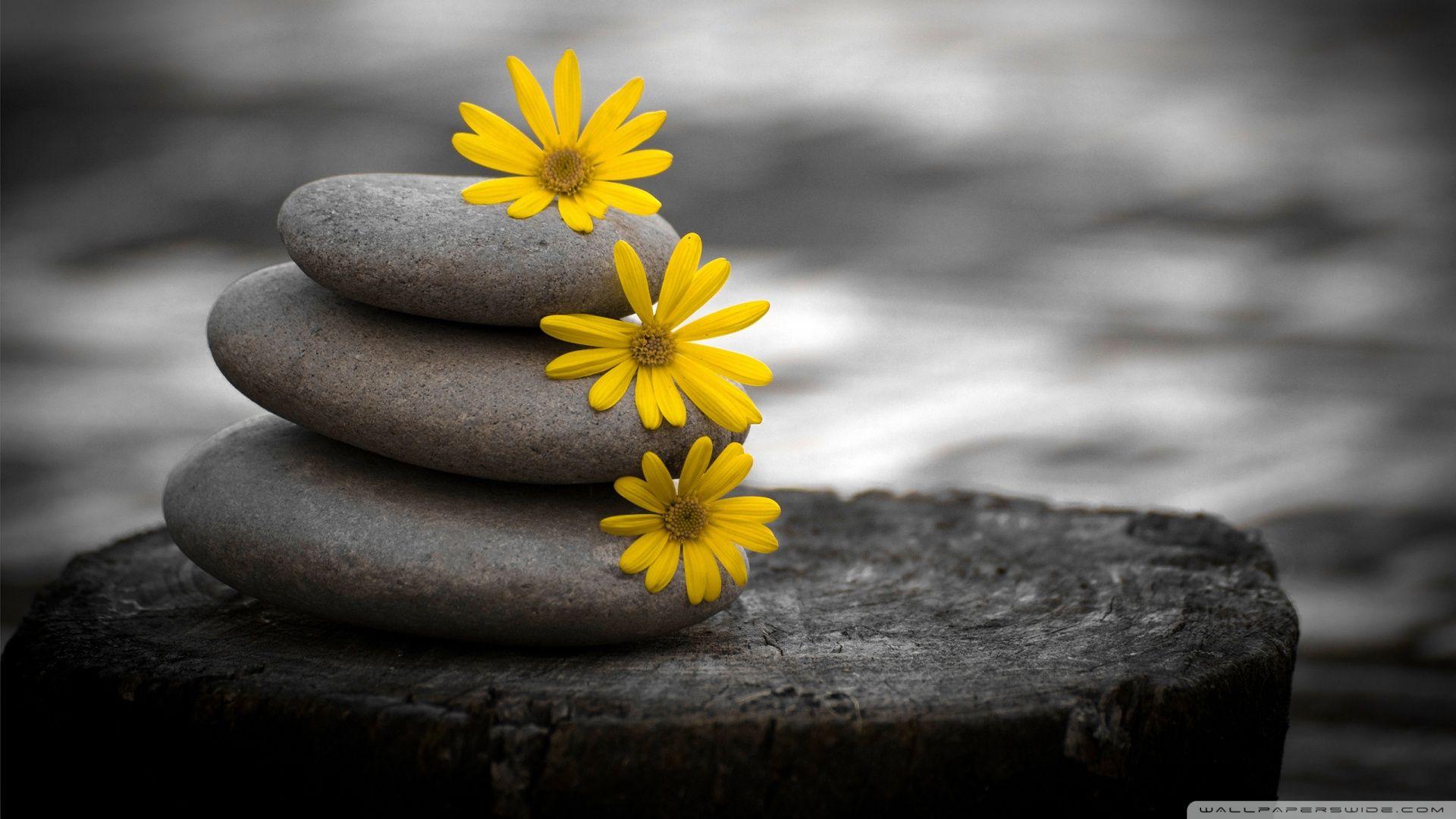 4K Zen Wallpapers - Top Free 4K Zen Backgrounds - WallpaperAccess