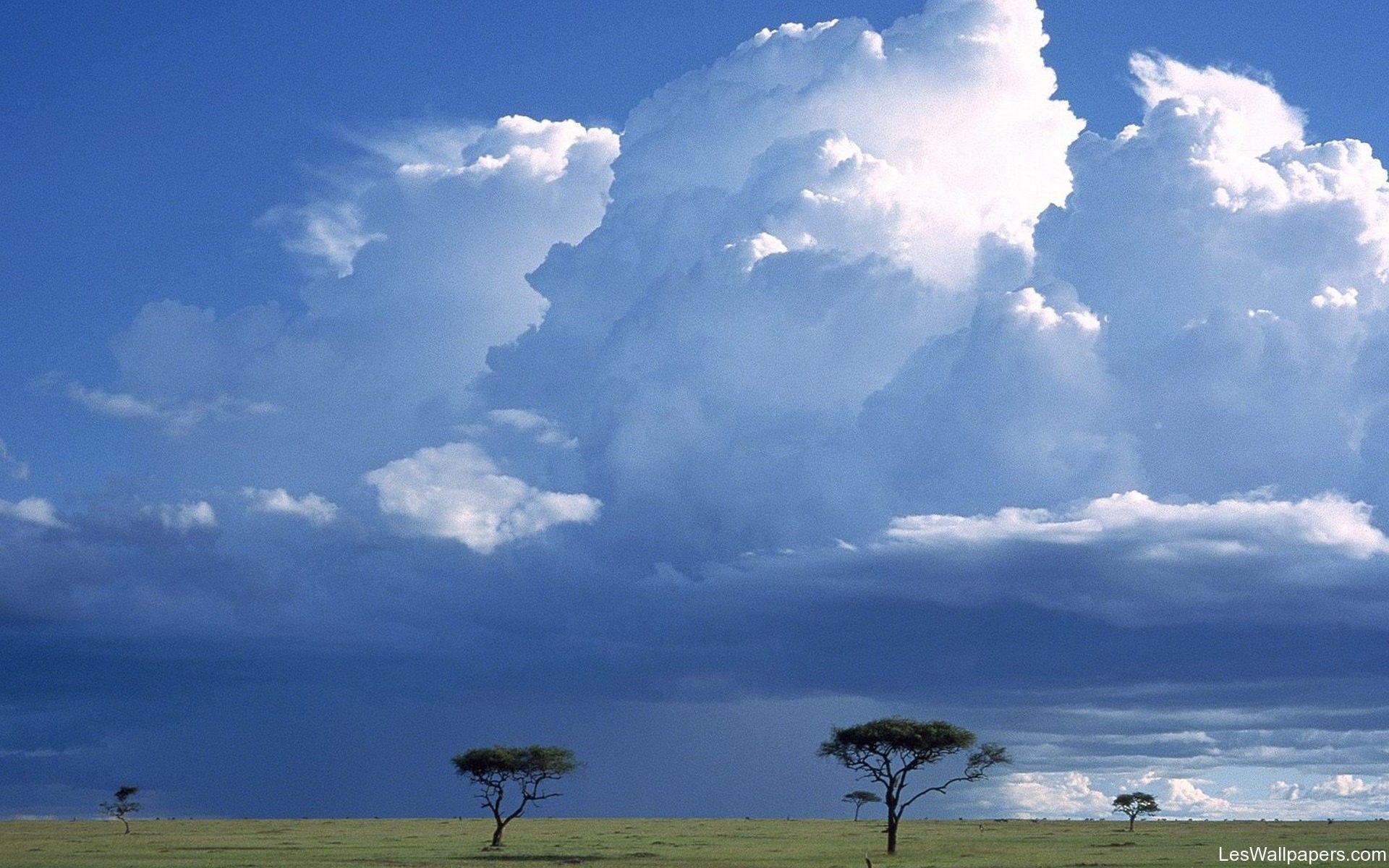Kenya Wallpapers - Top Free Kenya Backgrounds - WallpaperAccess