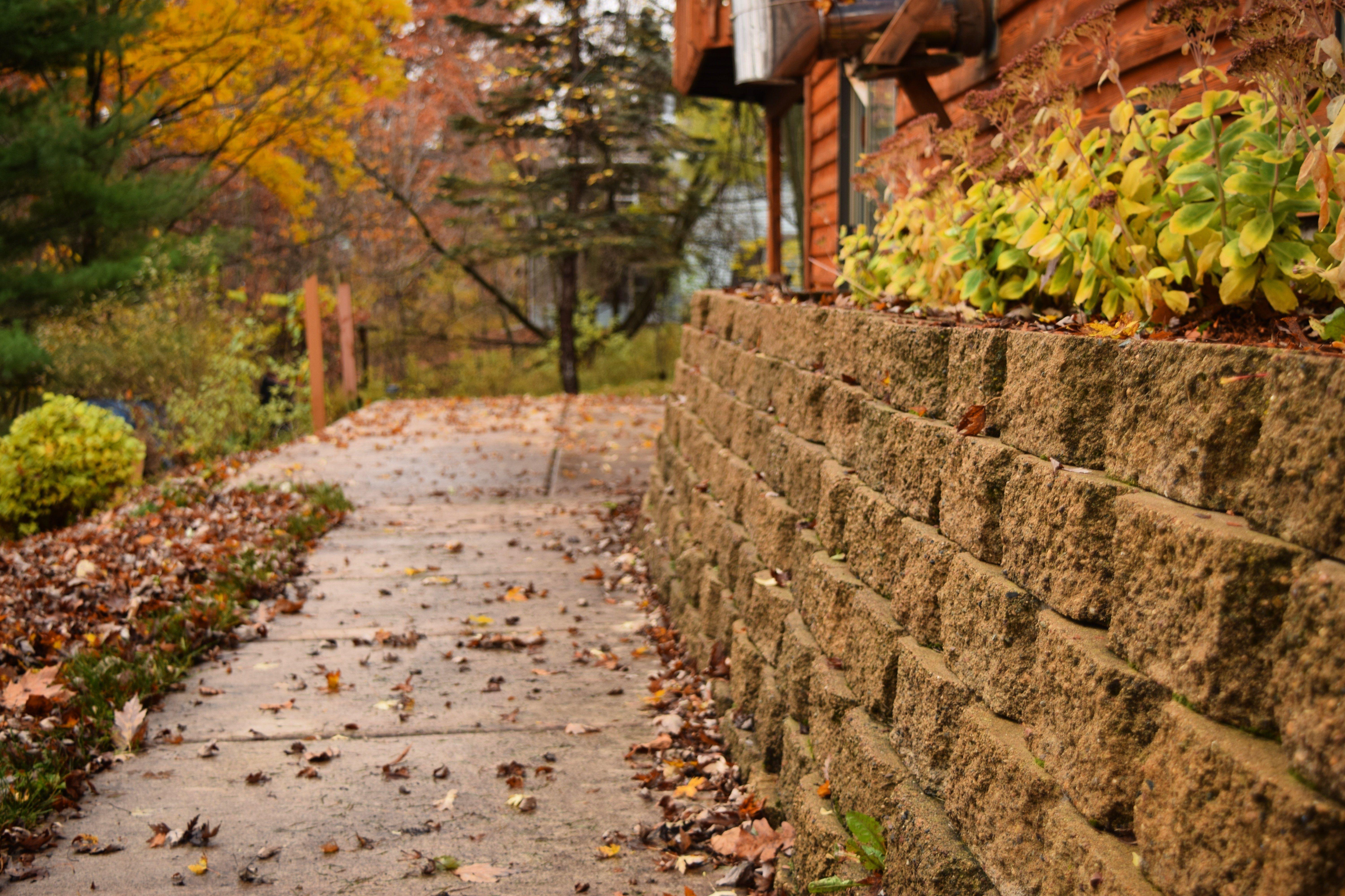 4K Fall Wallpapers - Top Free 4K Fall Backgrounds - WallpaperAccess