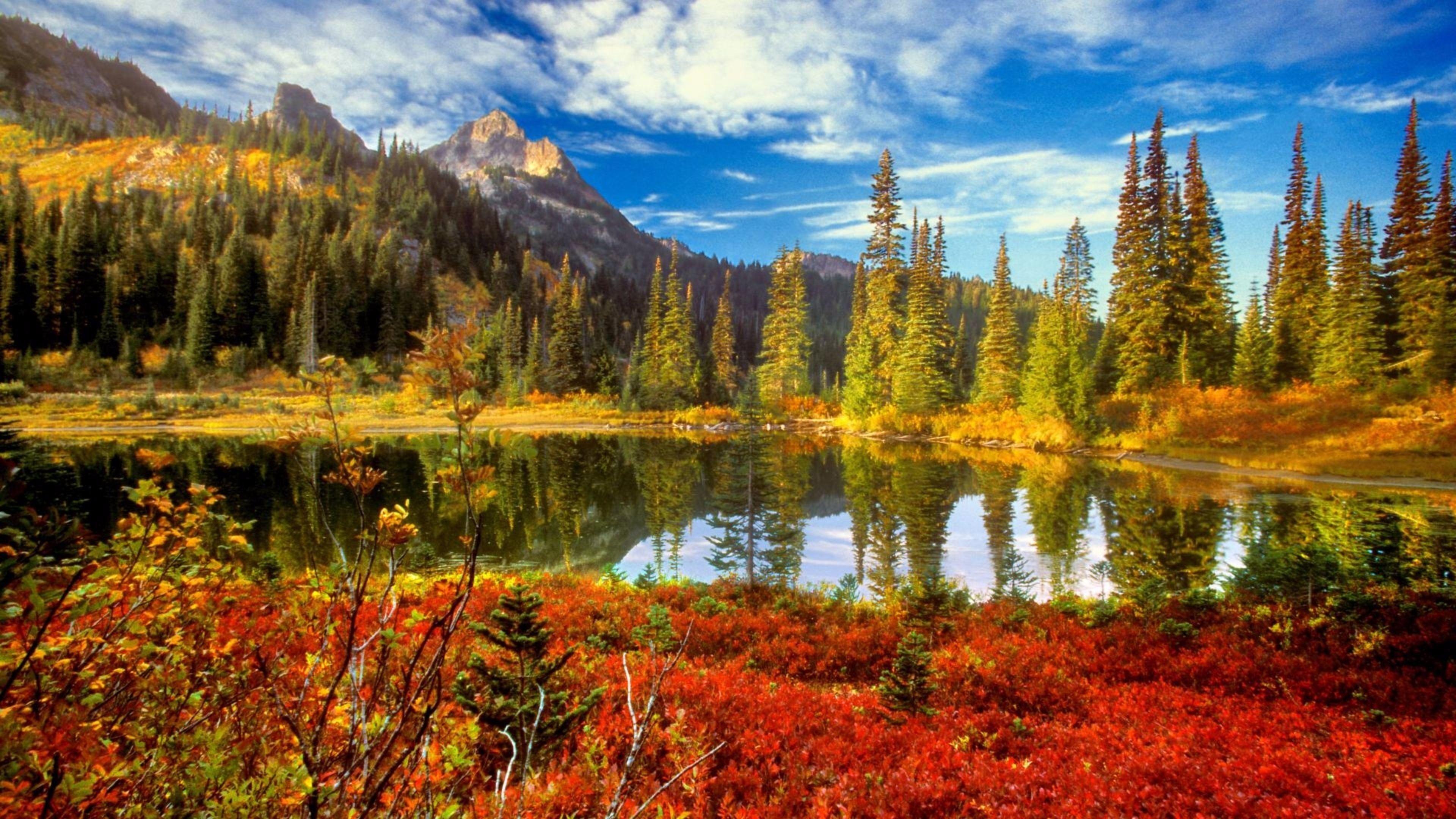 4K Fall Wallpapers - Top Free 4K Fall Backgrounds - WallpaperAccess