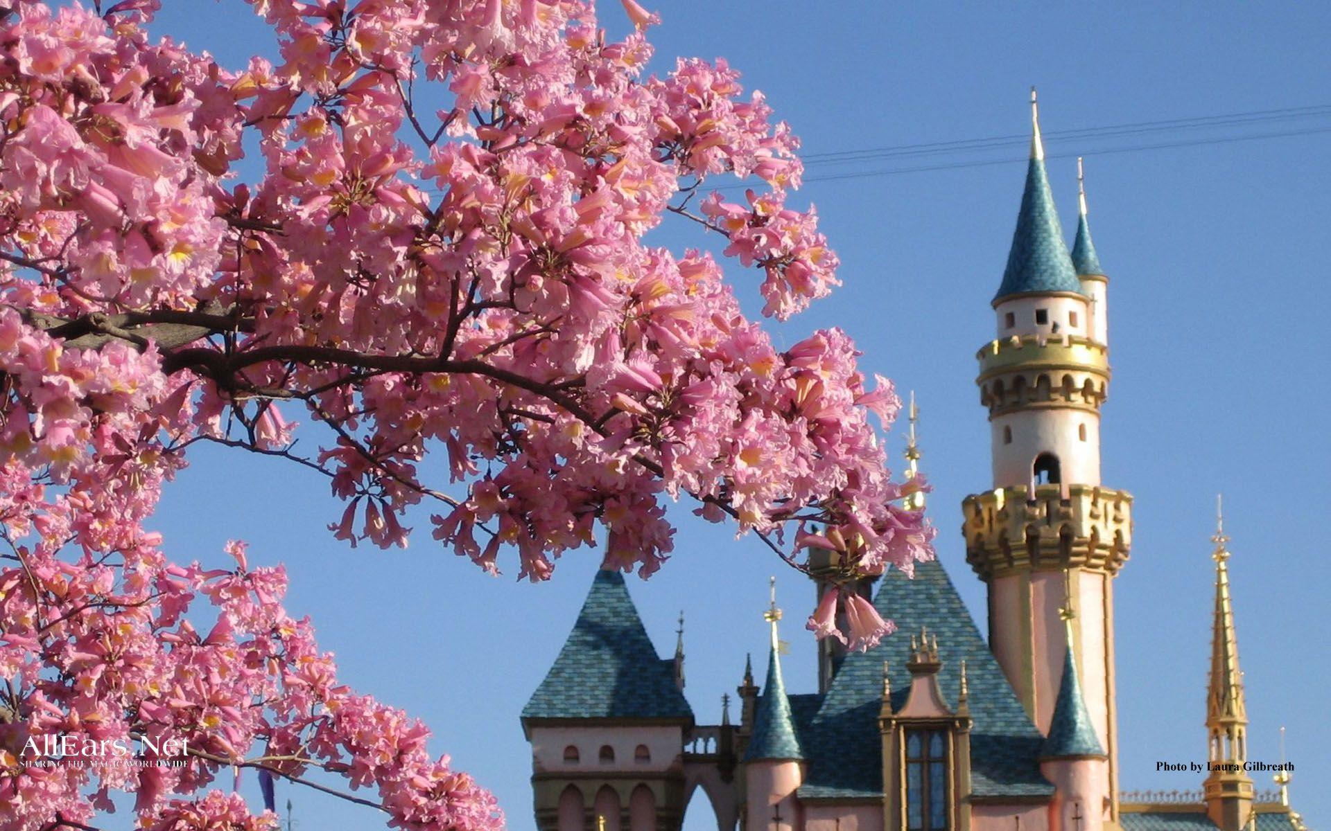Disney Castle Desktop Wallpapers - Top Free Disney Castle Desktop ...