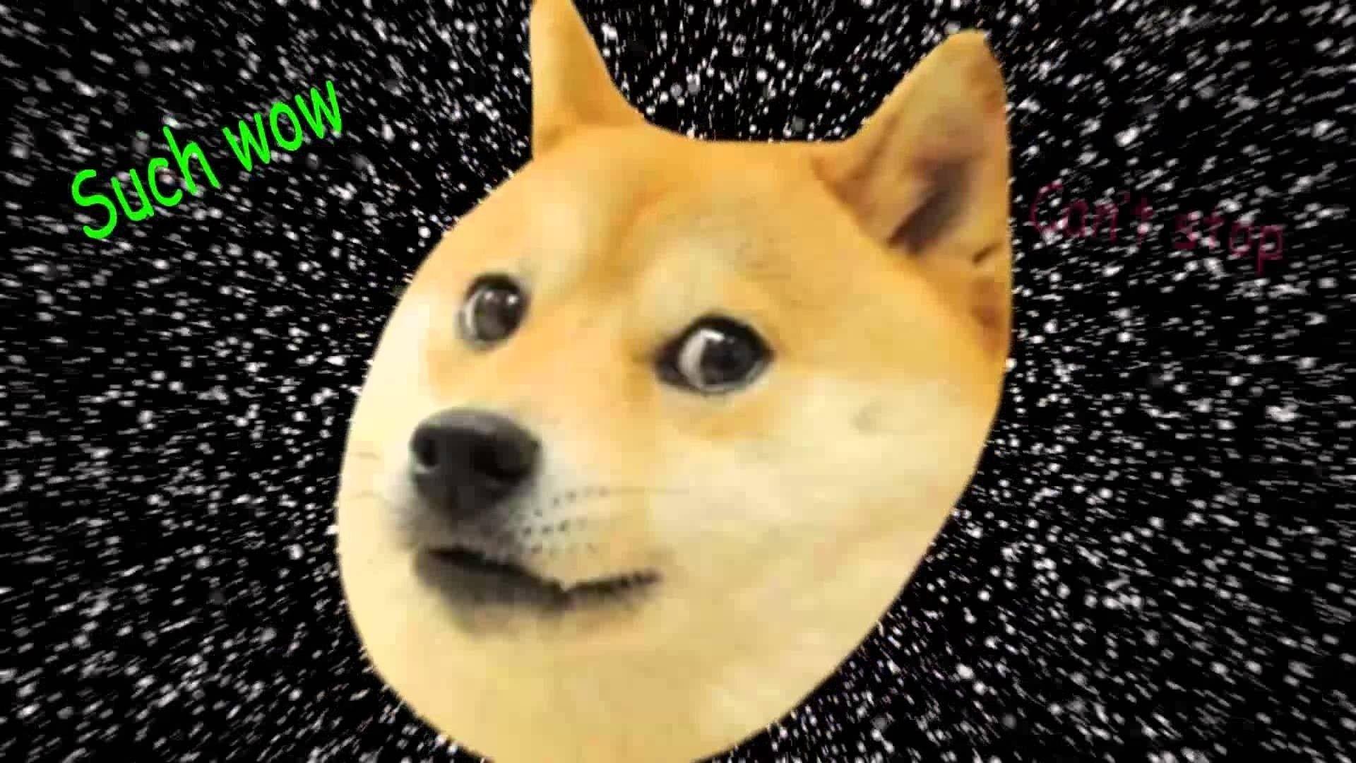 Doge Wallpapers - Top Free Doge Backgrounds - WallpaperAccess