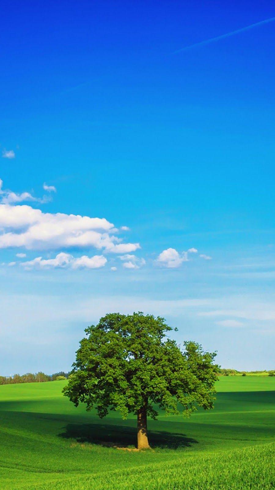 Samsung S7 Wallpapers - Top Free Samsung S7 Backgrounds - WallpaperAccess