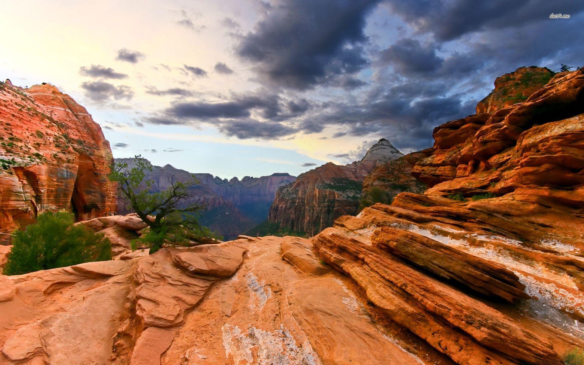 Zion Wallpapers - Top Free Zion Backgrounds - WallpaperAccess