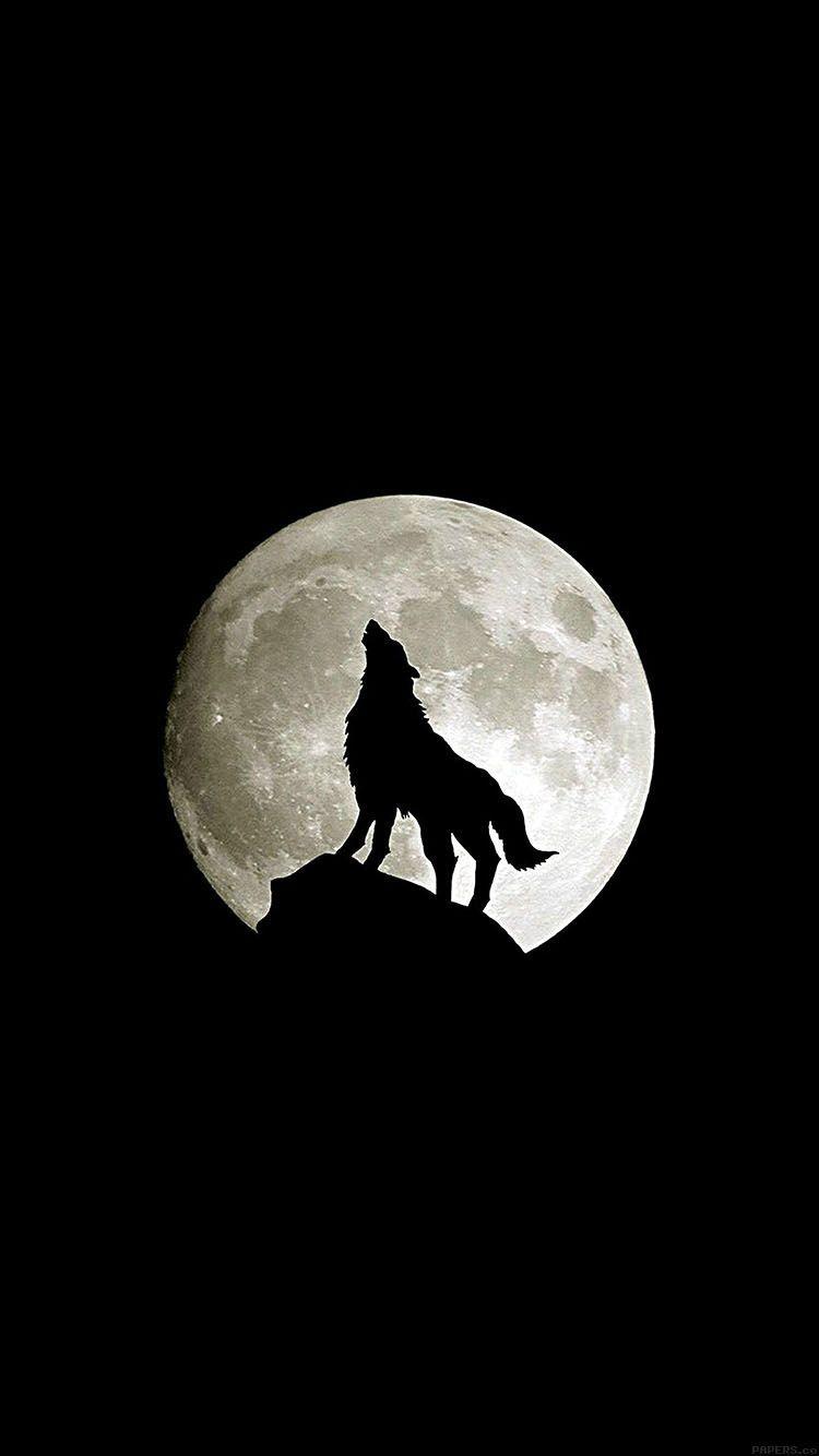 Minimal Wolf Wallpapers - Top Free Minimal Wolf Backgrounds ...