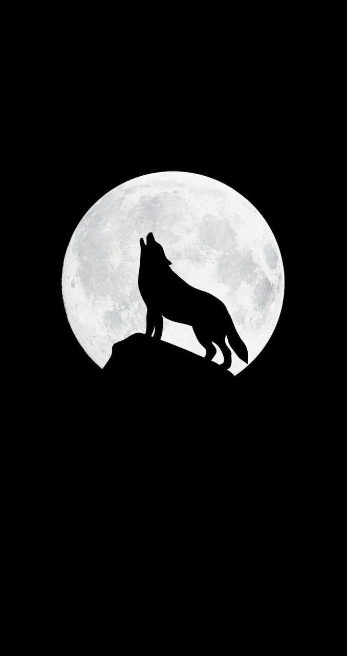 Minimal Wolf Wallpapers - Top Free Minimal Wolf Backgrounds ...