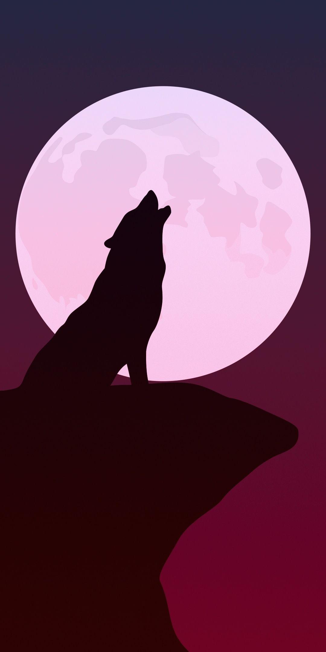 Minimal Wolf Wallpapers - Top Free Minimal Wolf Backgrounds ...