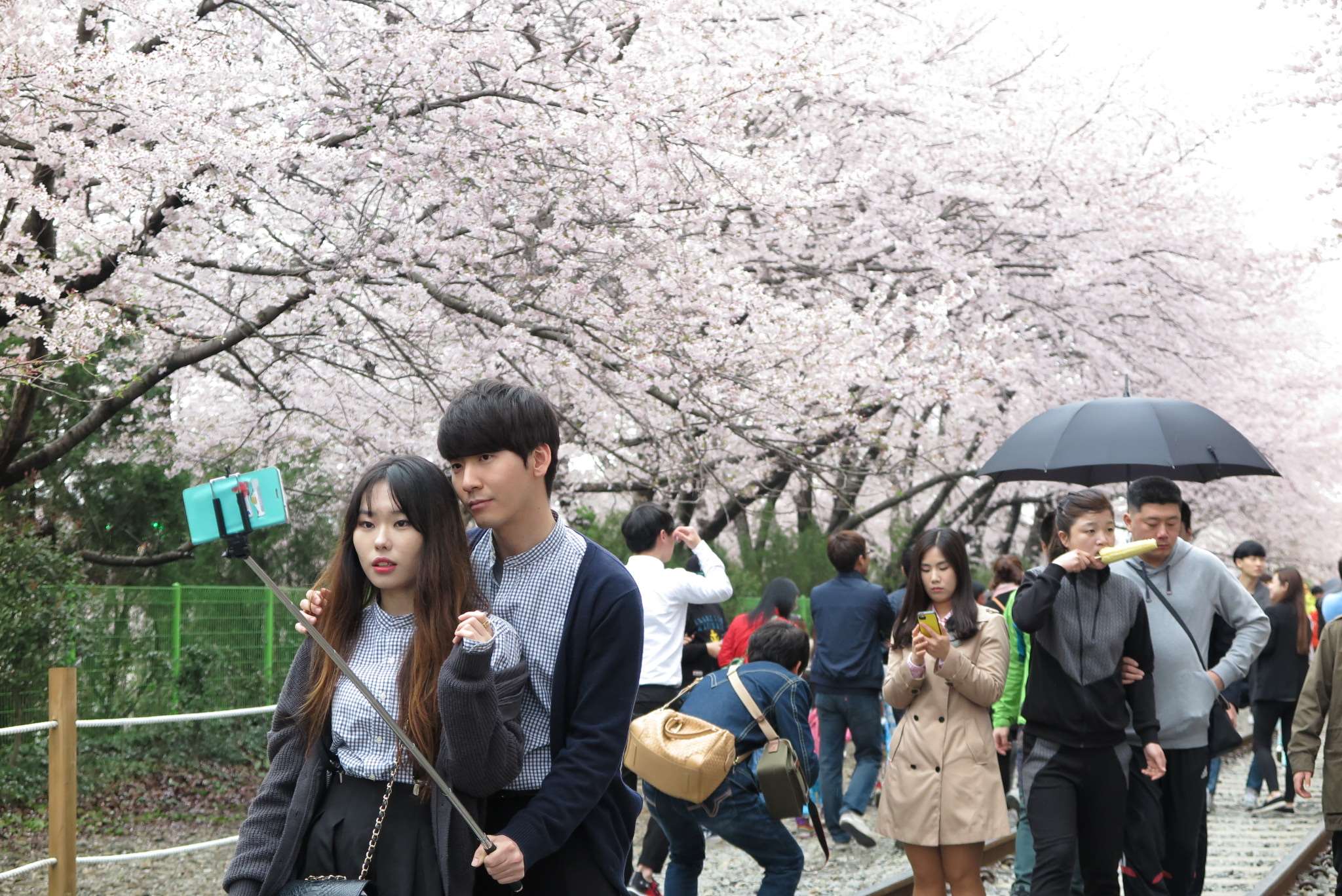 Korea Spring Wallpapers - Top Free Korea Spring Backgrounds ...