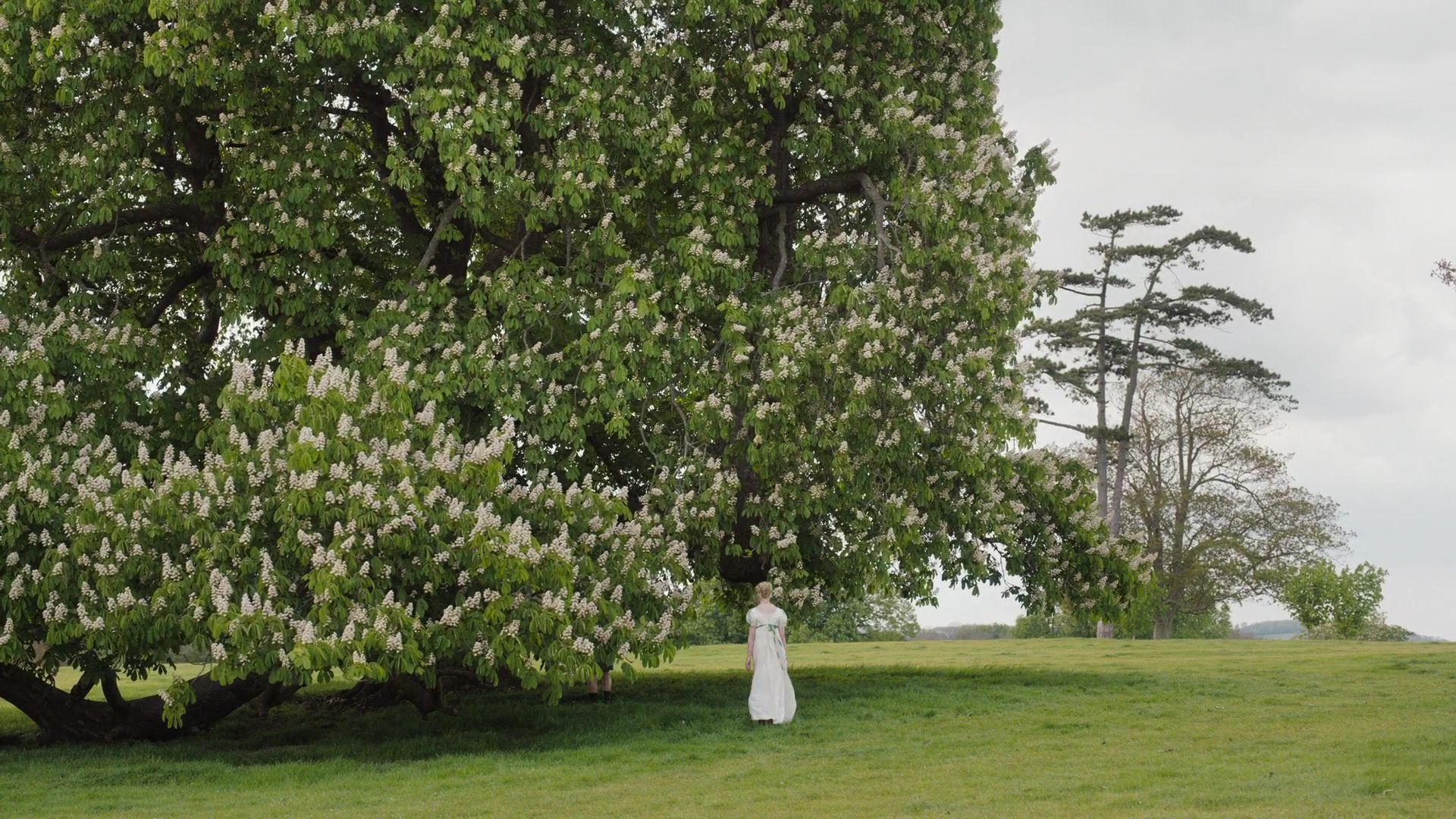 Emma 2020 Wallpapers - Top Free Emma 2020 Backgrounds - WallpaperAccess