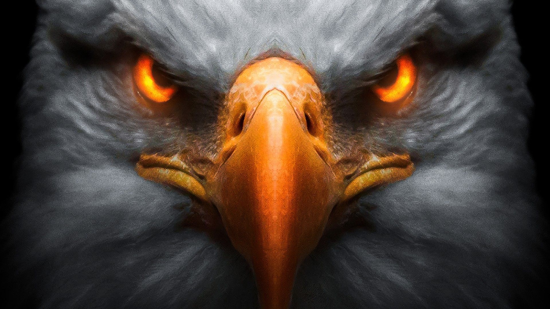 Angry Eagle Wallpapers - Top Free Angry Eagle Backgrounds - WallpaperAccess