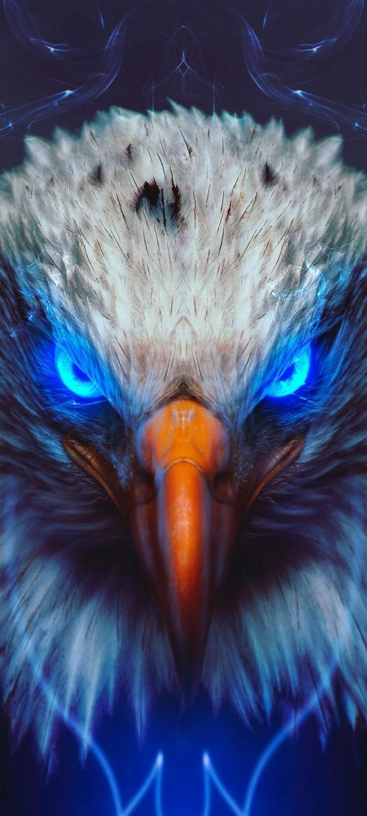 Angry Eagle Wallpapers - Top Free Angry Eagle Backgrounds - WallpaperAccess