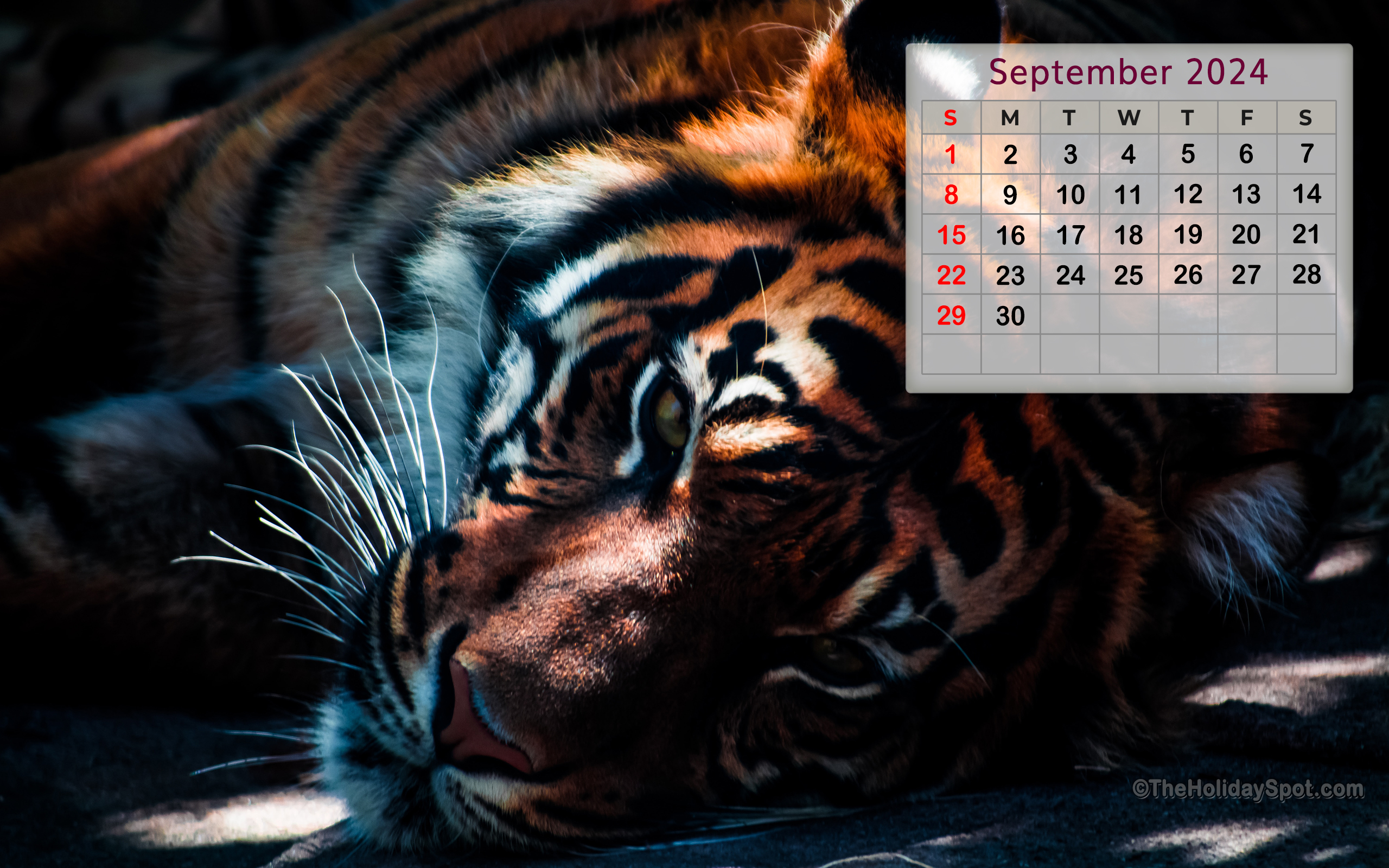 September 2024 Calendar Wallpapers - Top Free September 2024 Calendar ...