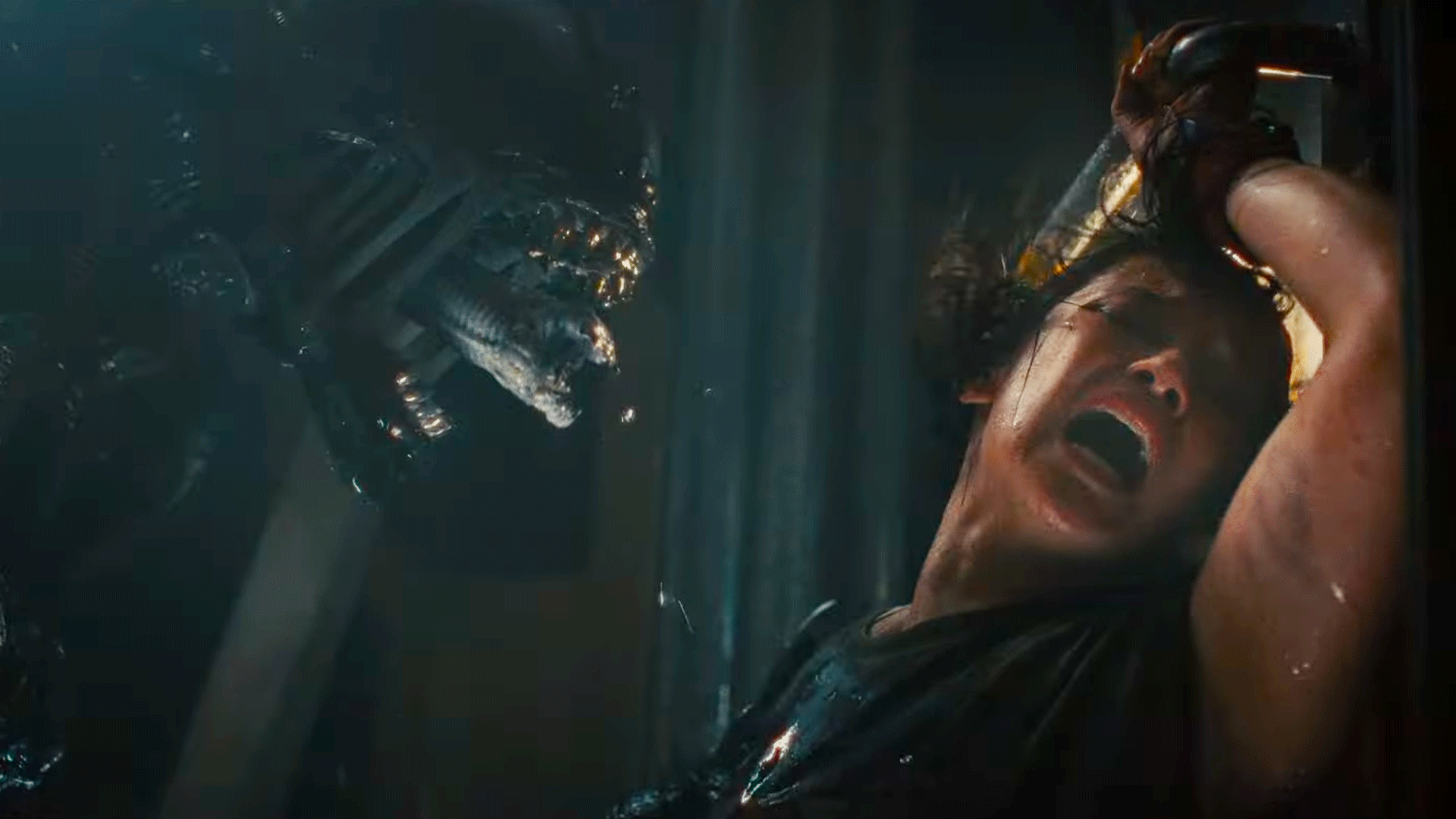 Alien Romulus Wallpapers - Top Free Alien Romulus Backgrounds ...