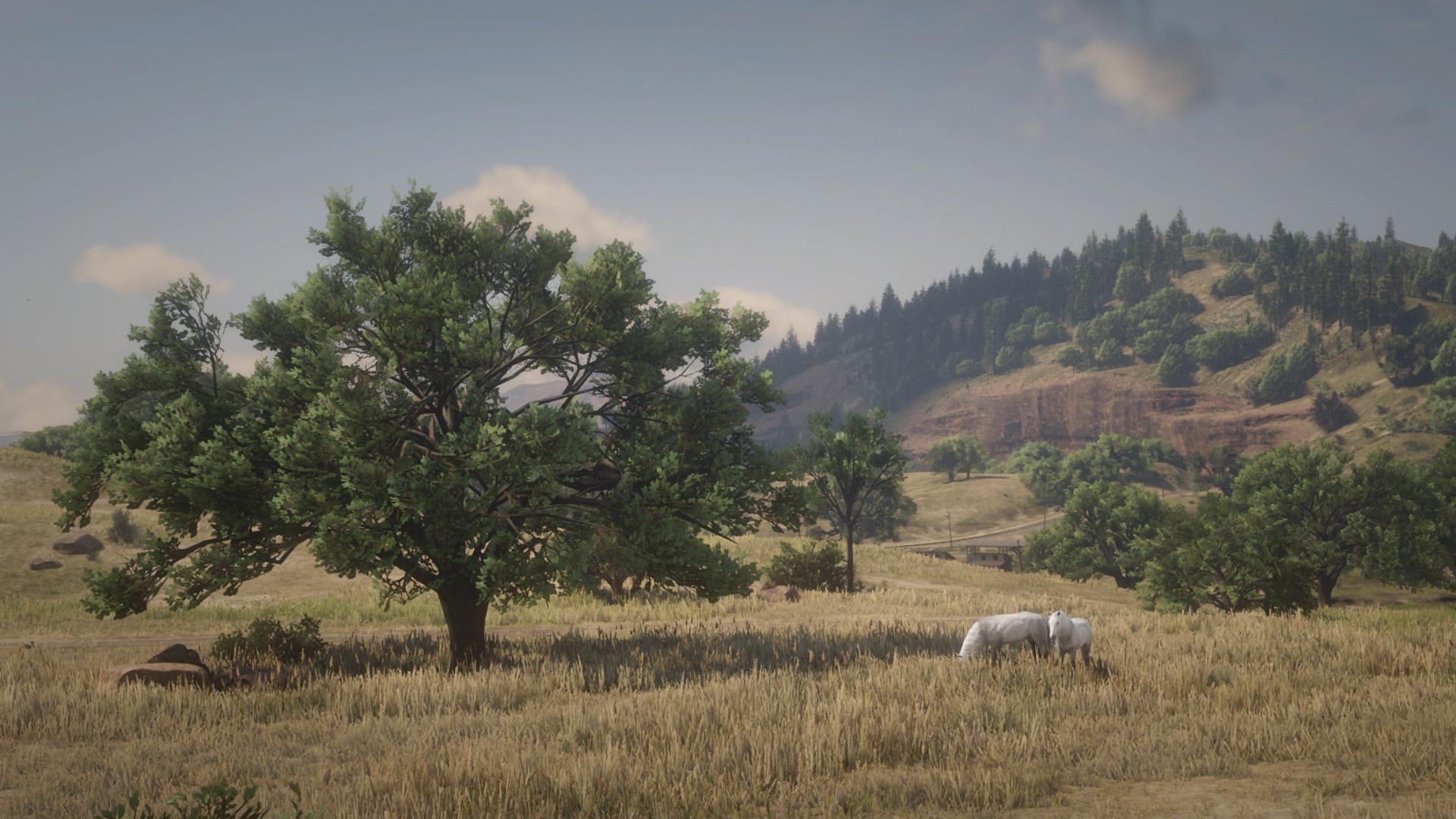 Great Plains Wallpapers - Top Free Great Plains Backgrounds ...