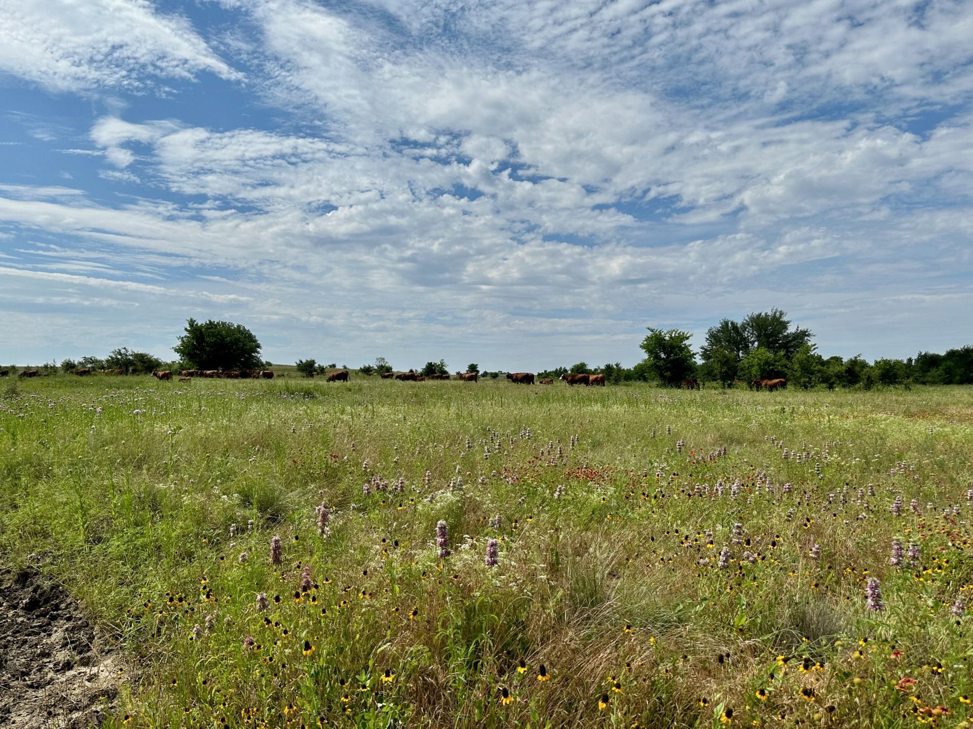 Great Plains Wallpapers - Top Free Great Plains Backgrounds ...