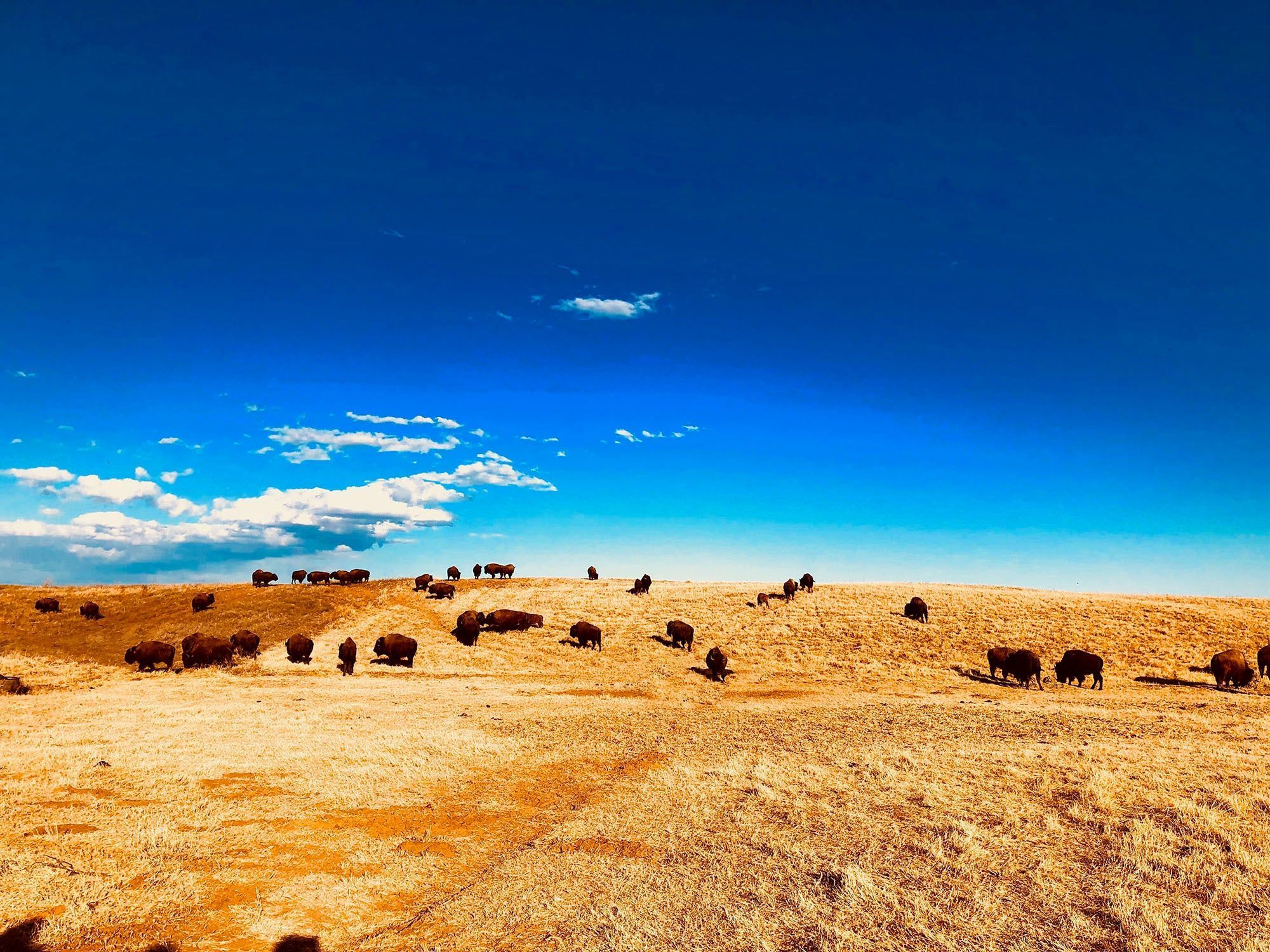Great Plains Wallpapers - Top Free Great Plains Backgrounds ...