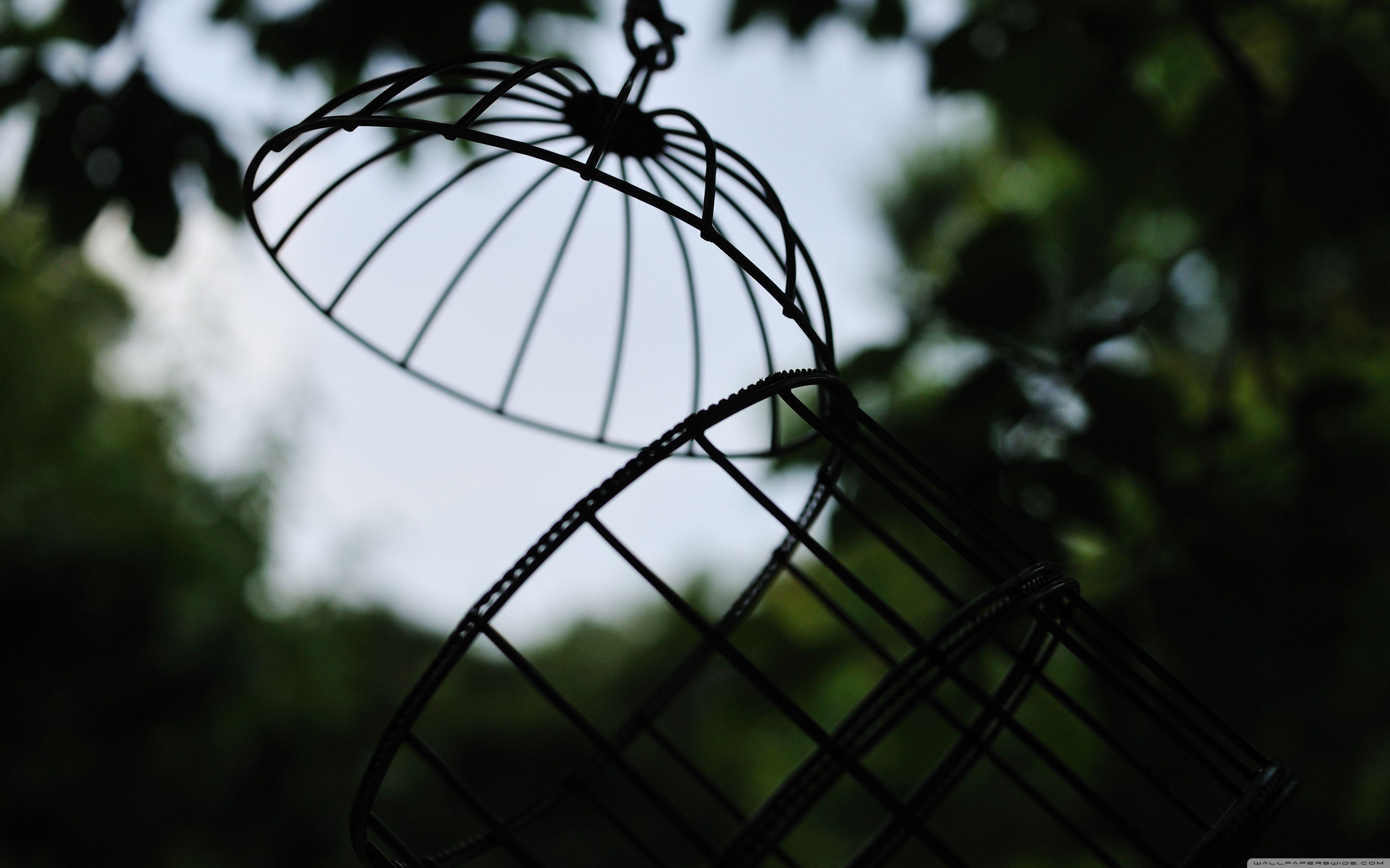 Hope Wallpapers - Top Free Hope Backgrounds - WallpaperAccess