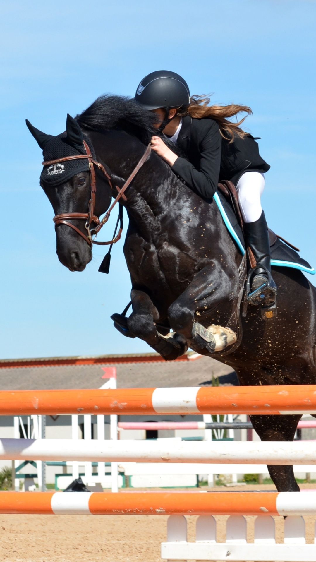 Show Jumping Wallpapers - Top Free Show Jumping Backgrounds ...