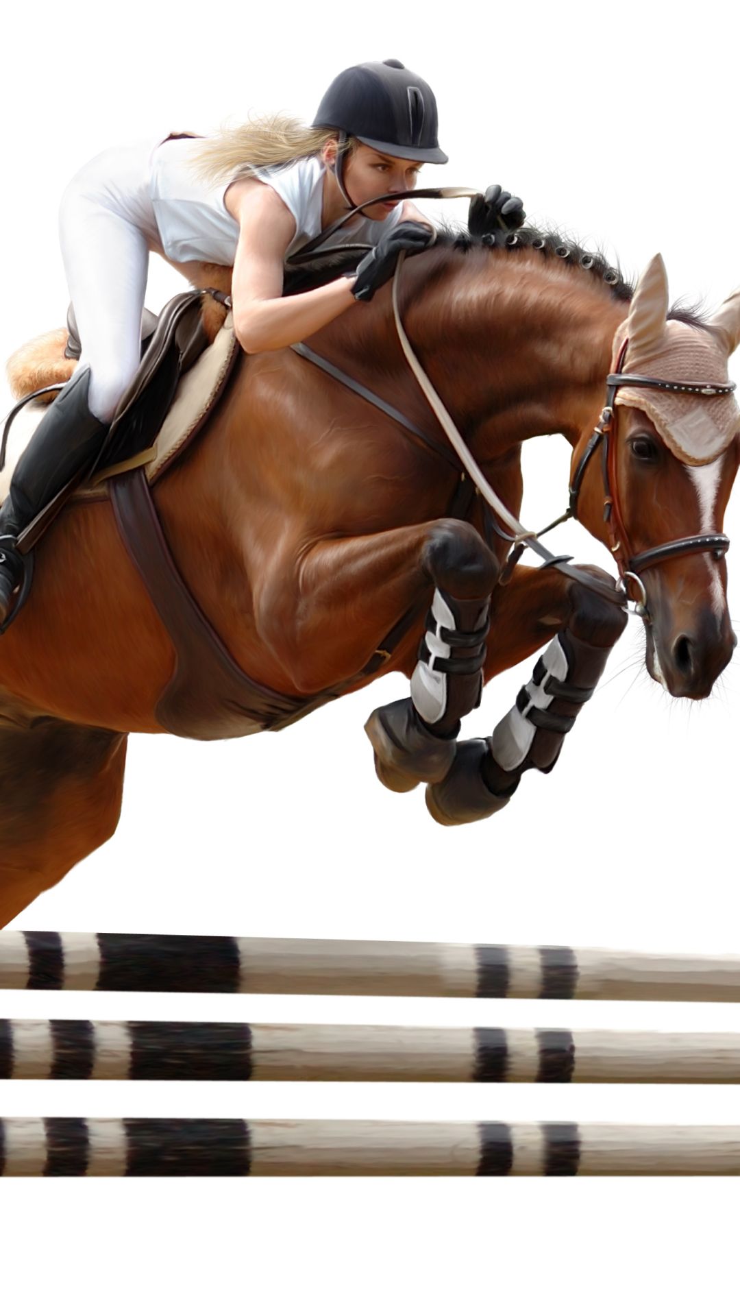 Show Jumping Wallpapers - Top Free Show Jumping Backgrounds ...