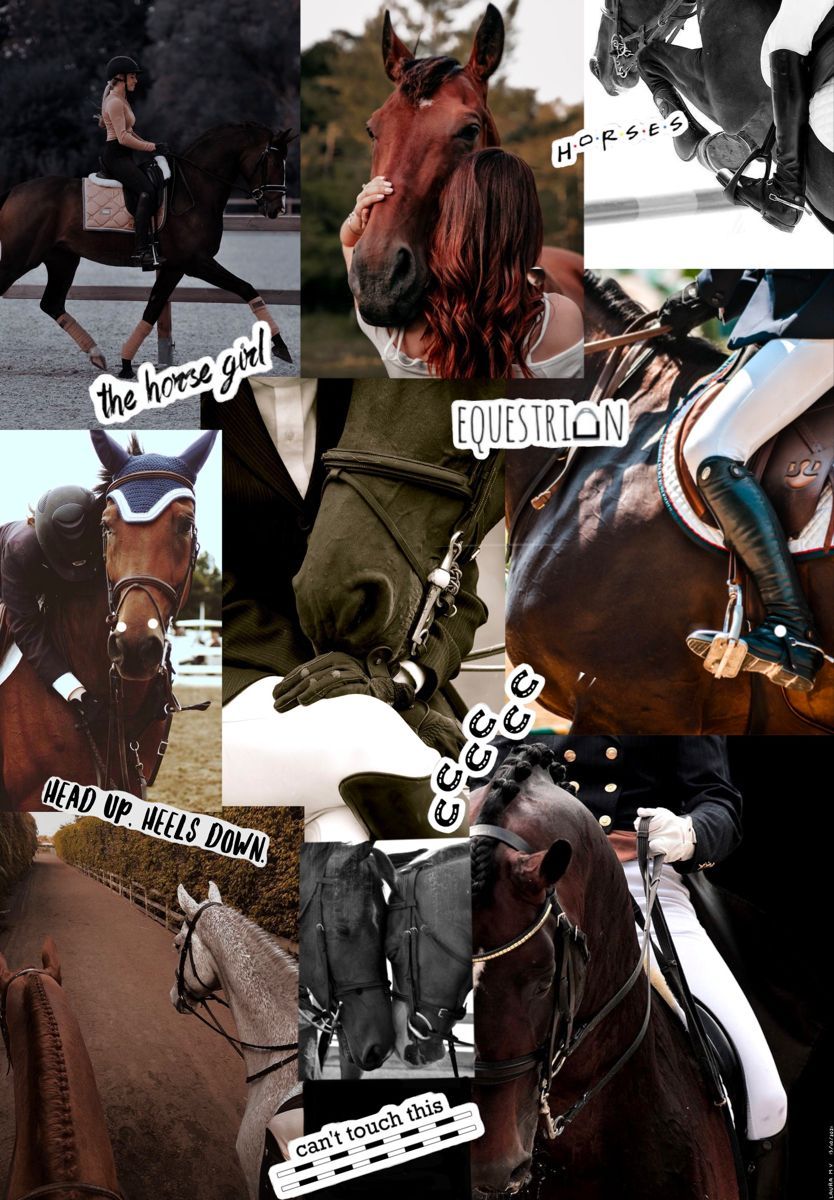 Show Jumping Wallpapers - Top Free Show Jumping Backgrounds ...