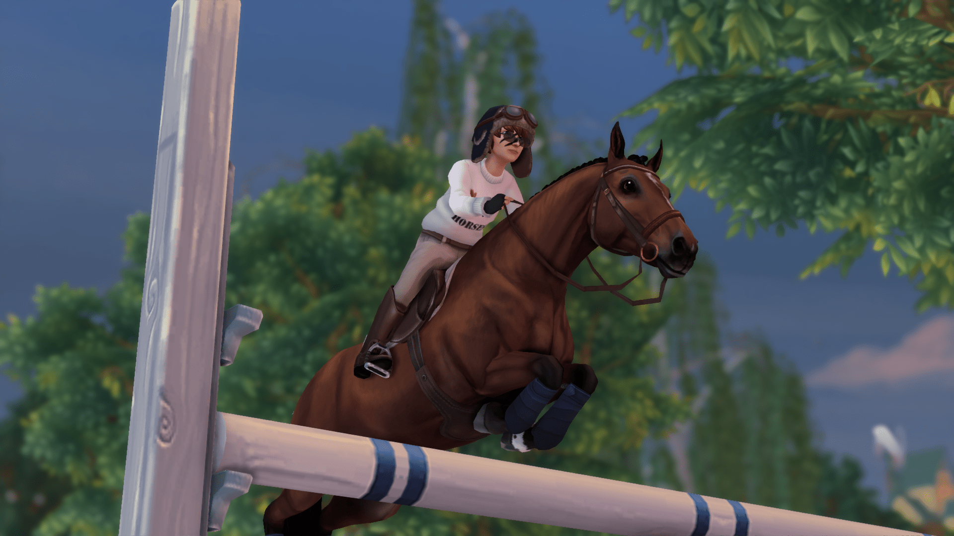 Show Jumping Wallpapers - Top Free Show Jumping Backgrounds ...