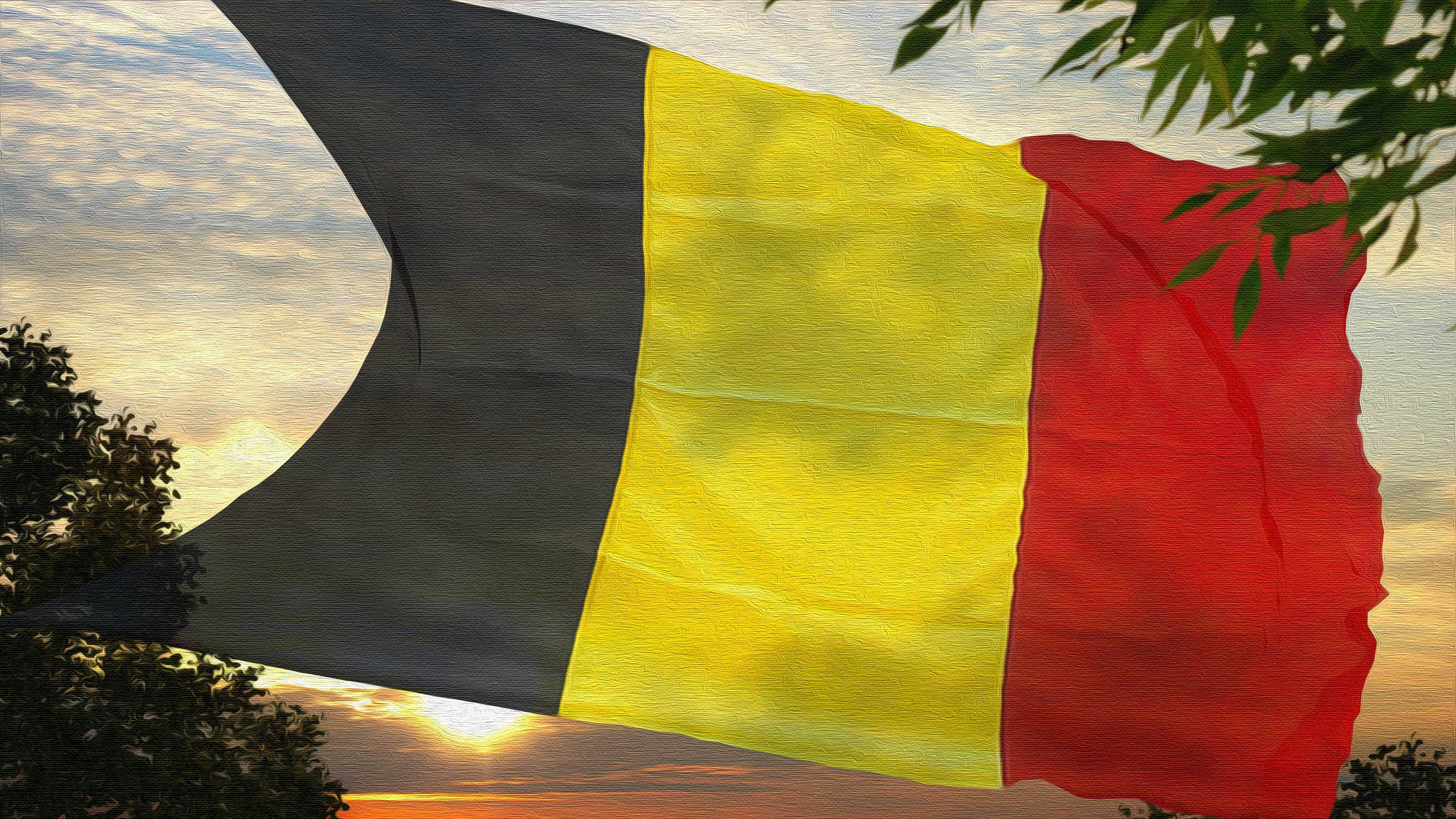 Belgium Flag Wallpapers - Top Free Belgium Flag Backgrounds ...