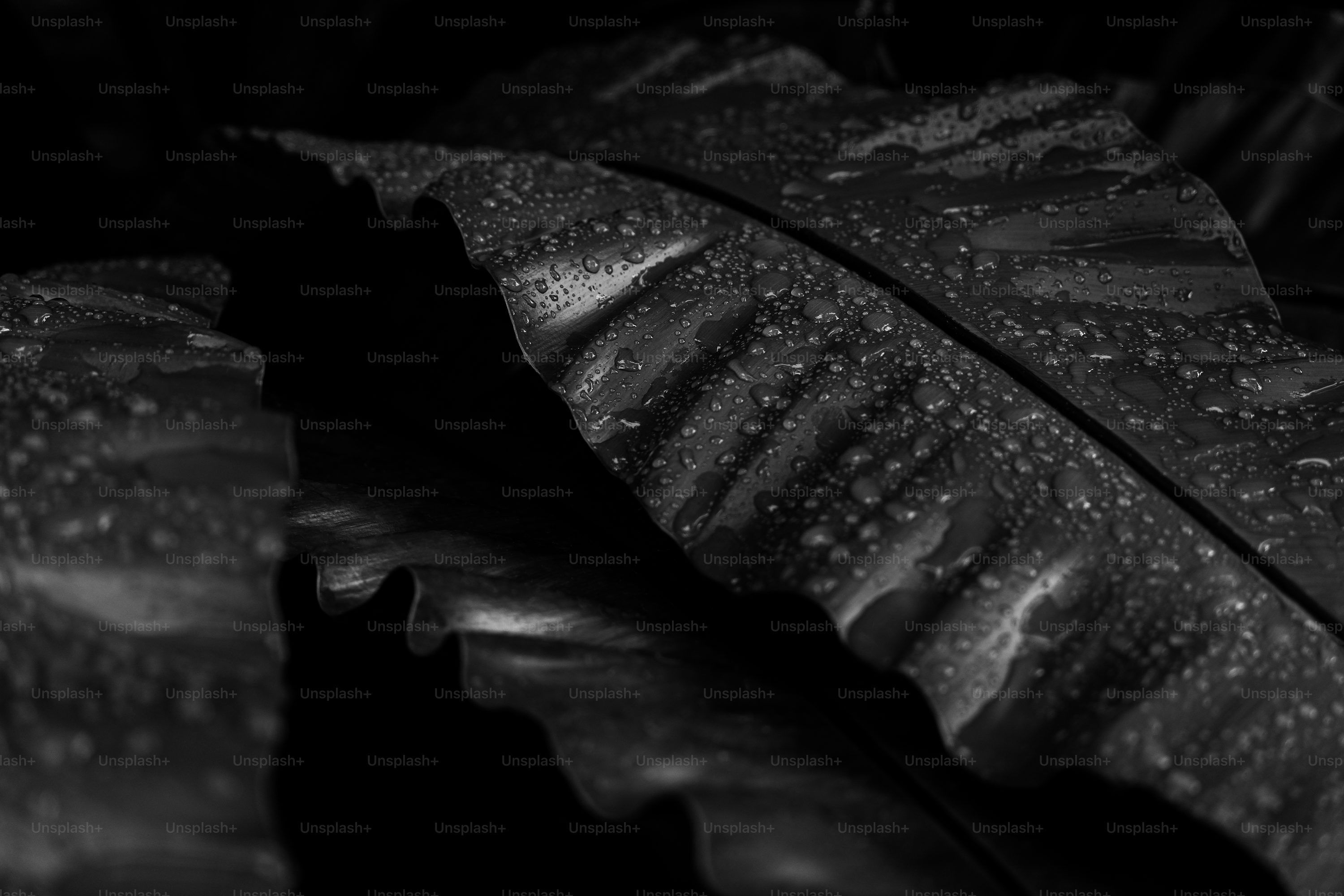 Dark Tone Wallpapers - Top Free Dark Tone Backgrounds - WallpaperAccess