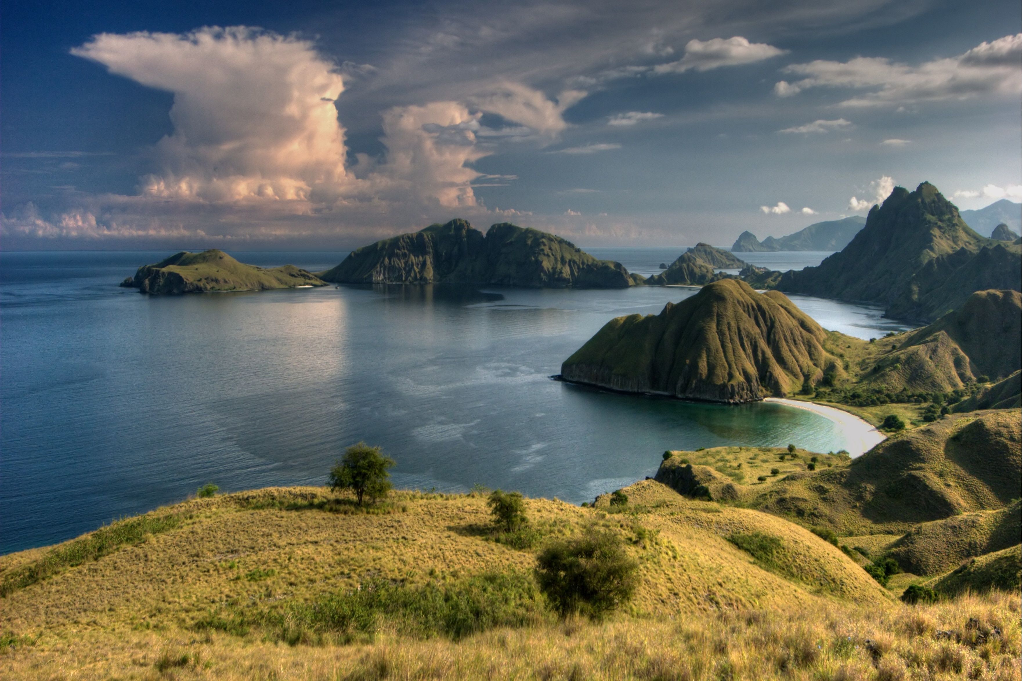 Komodo Island Wallpapers - Top Free Komodo Island Backgrounds ...