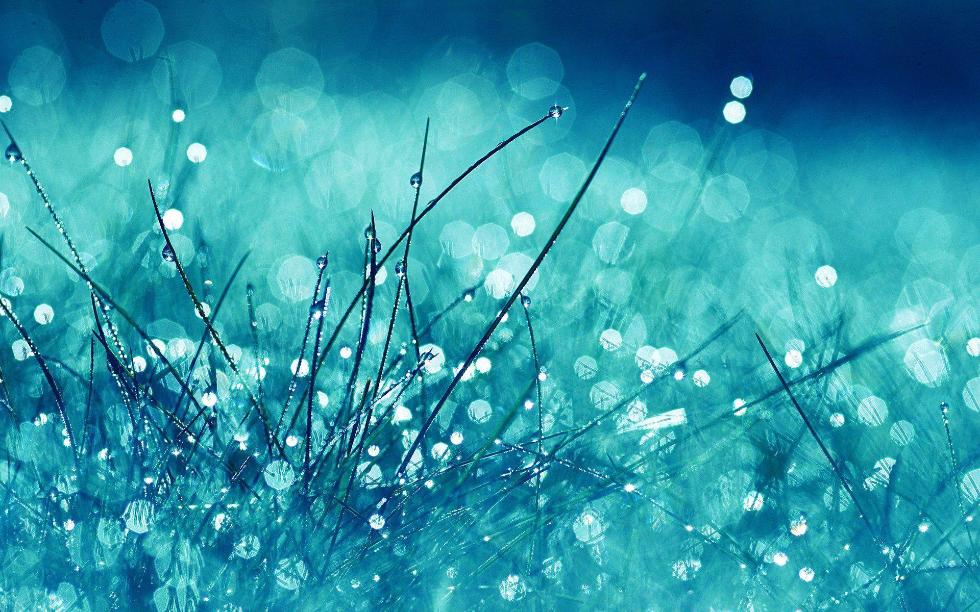 Grass Wallpapers - Top Free Grass Backgrounds - WallpaperAccess