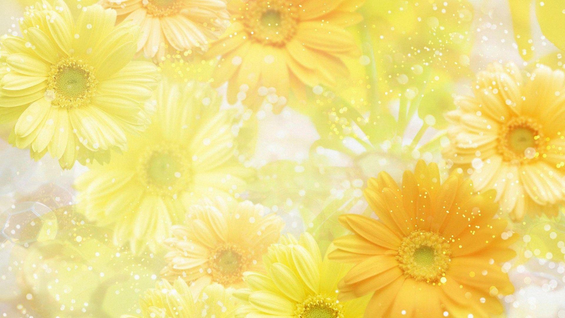 Bright Yellow Wallpapers - Top Free Bright Yellow Backgrounds ...