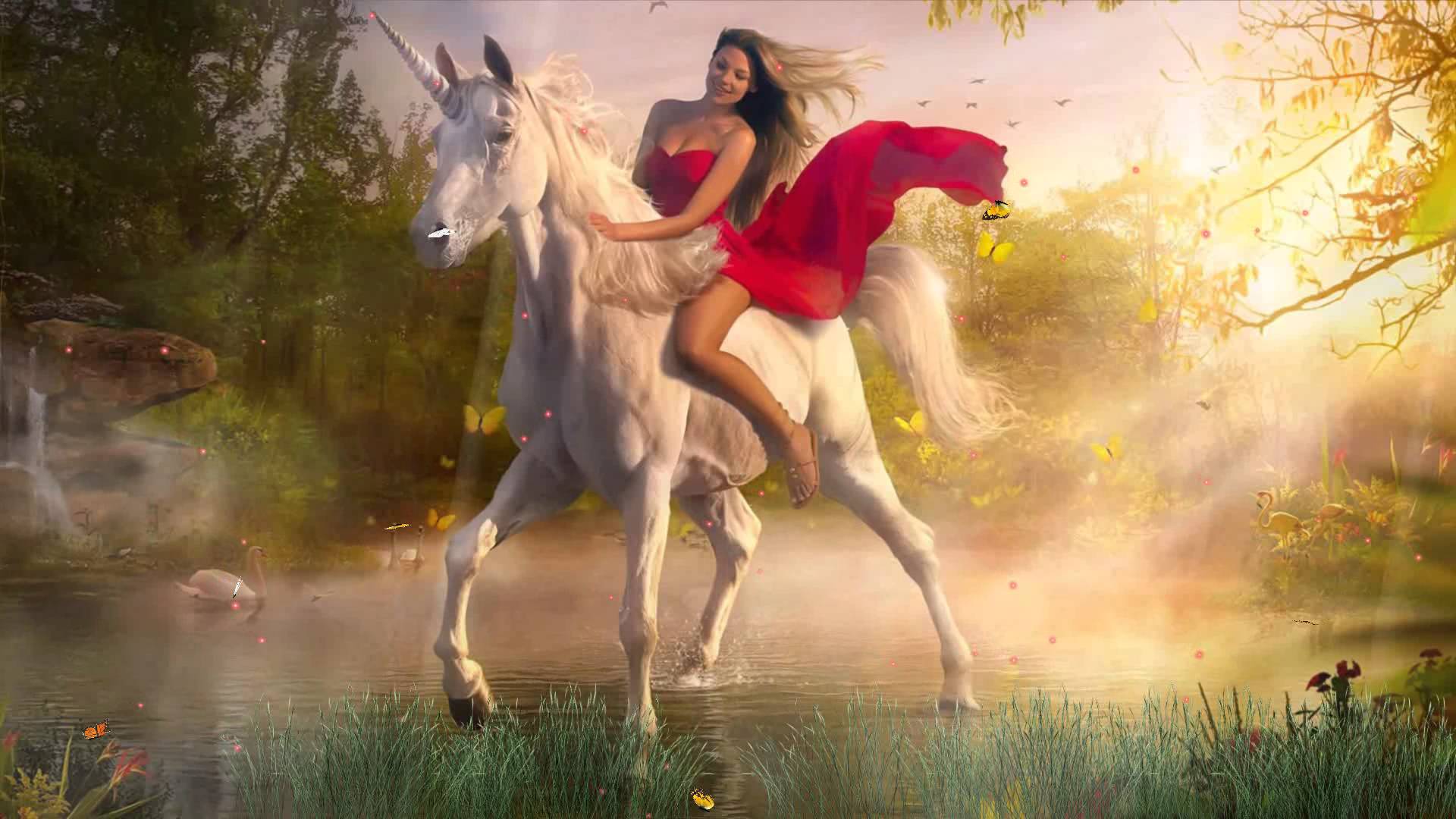 Magical Unicorn Wallpapers - Top Free Magical Unicorn Backgrounds - WallpaperAccess