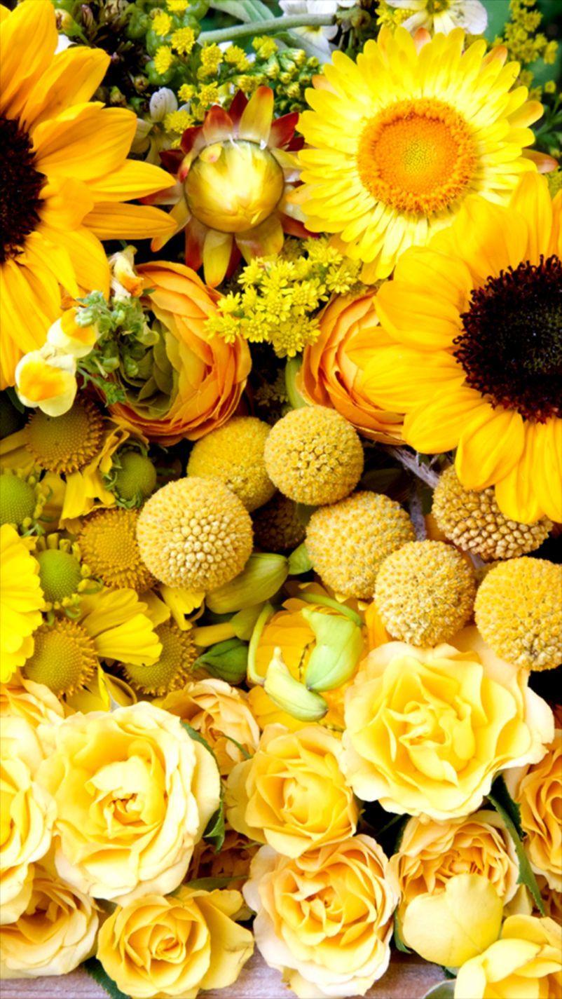 Yellow Floral Wallpapers - Top Free Yellow Floral Backgrounds ...