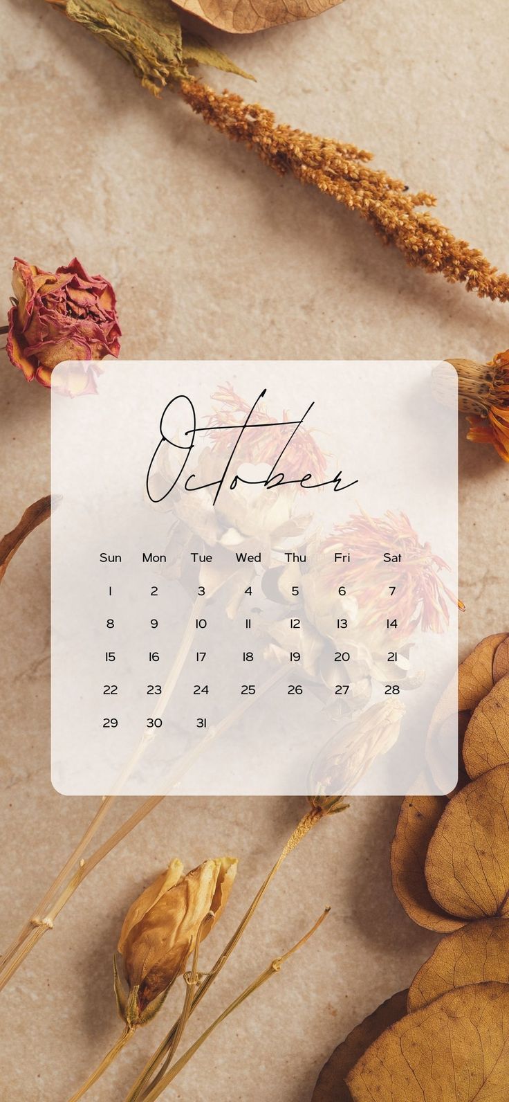 October 2024 Calendar Wallpapers - Top Free October 2024 Calendar ...