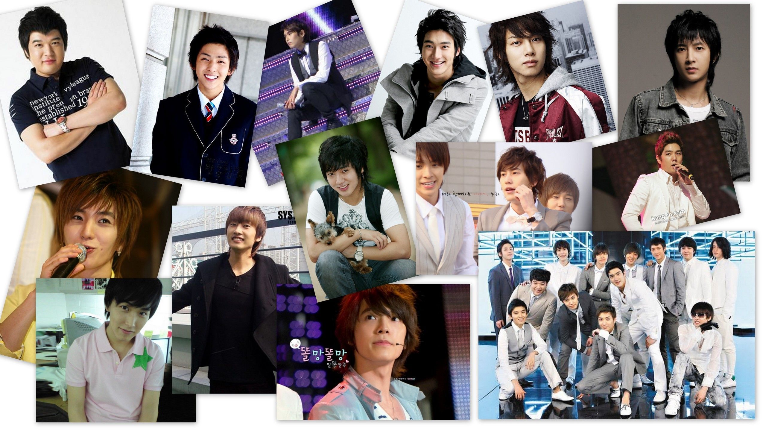 SuJu Wallpapers - Top Free SuJu Backgrounds - WallpaperAccess
