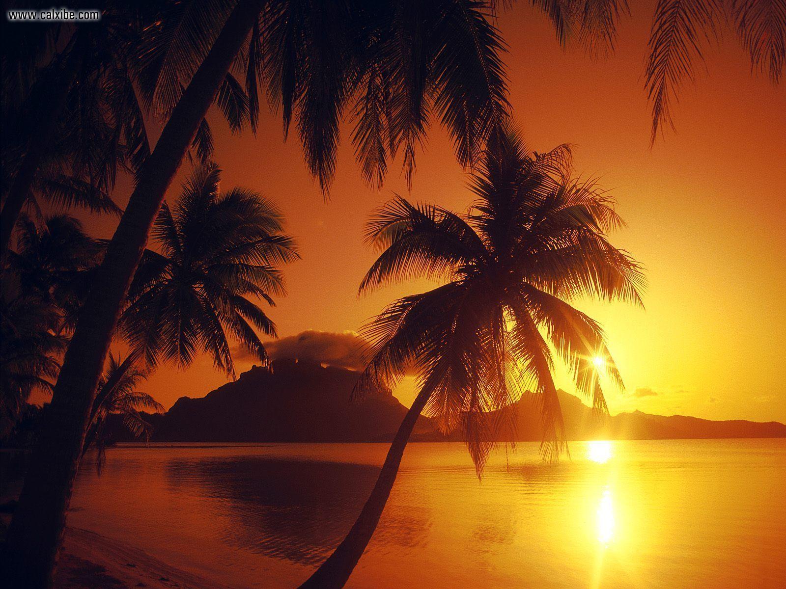 Bora Bora Sunrise Wallpapers - Top Free Bora Bora Sunrise Backgrounds ...